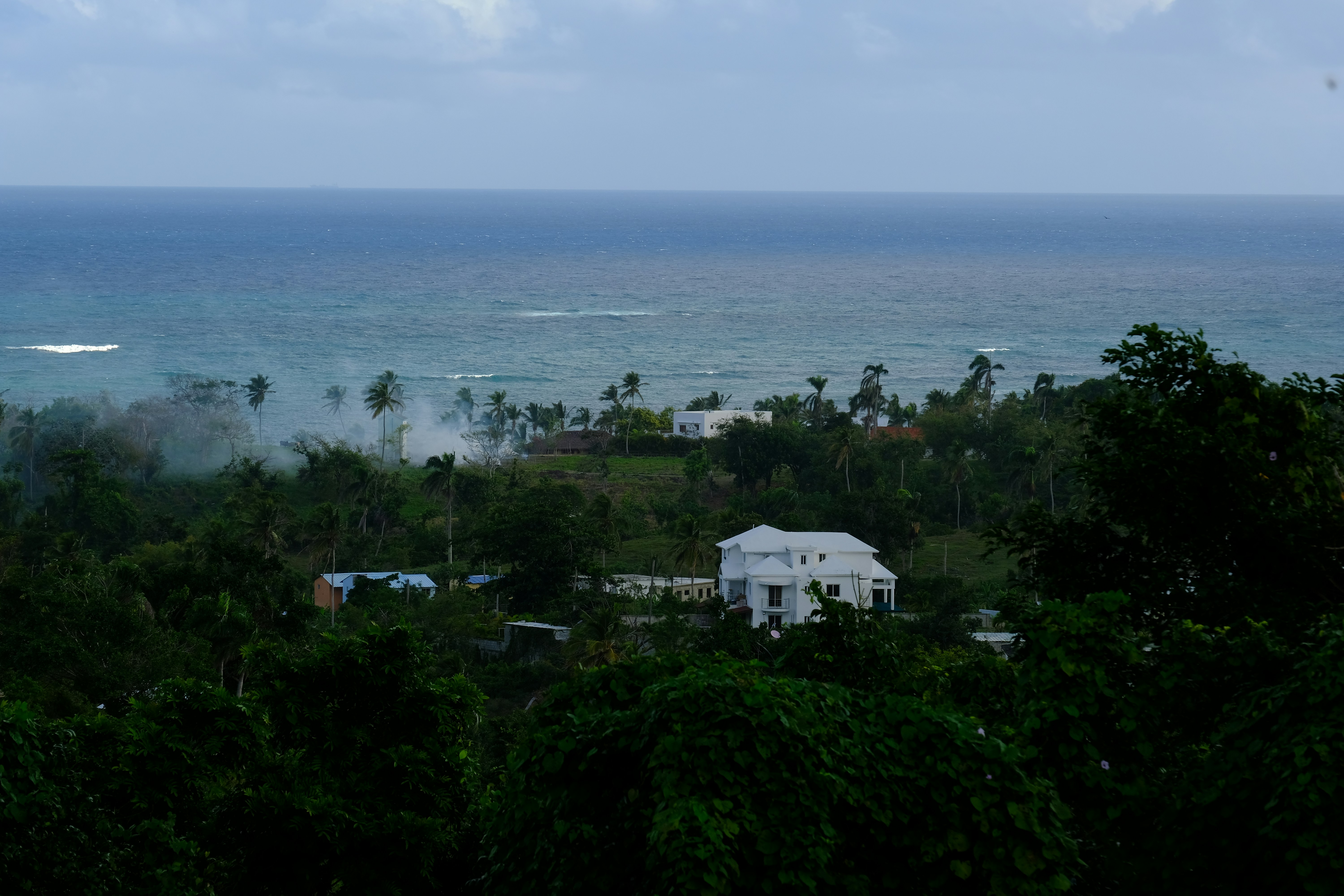 White Villa Emerging from Tropical Canopy Against a Calm Ocean Horizon