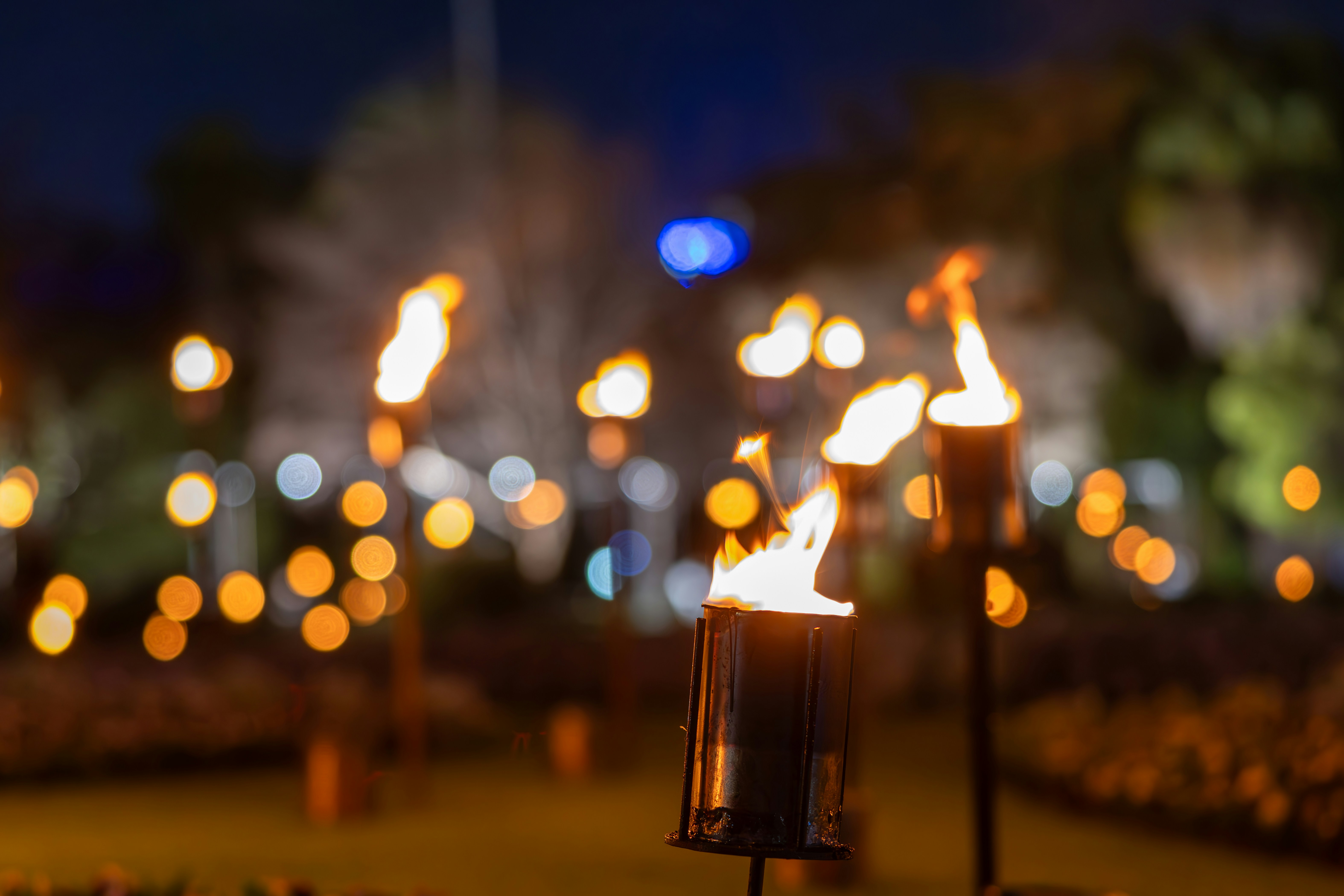 Flaming Torches in a Soft Night Glow