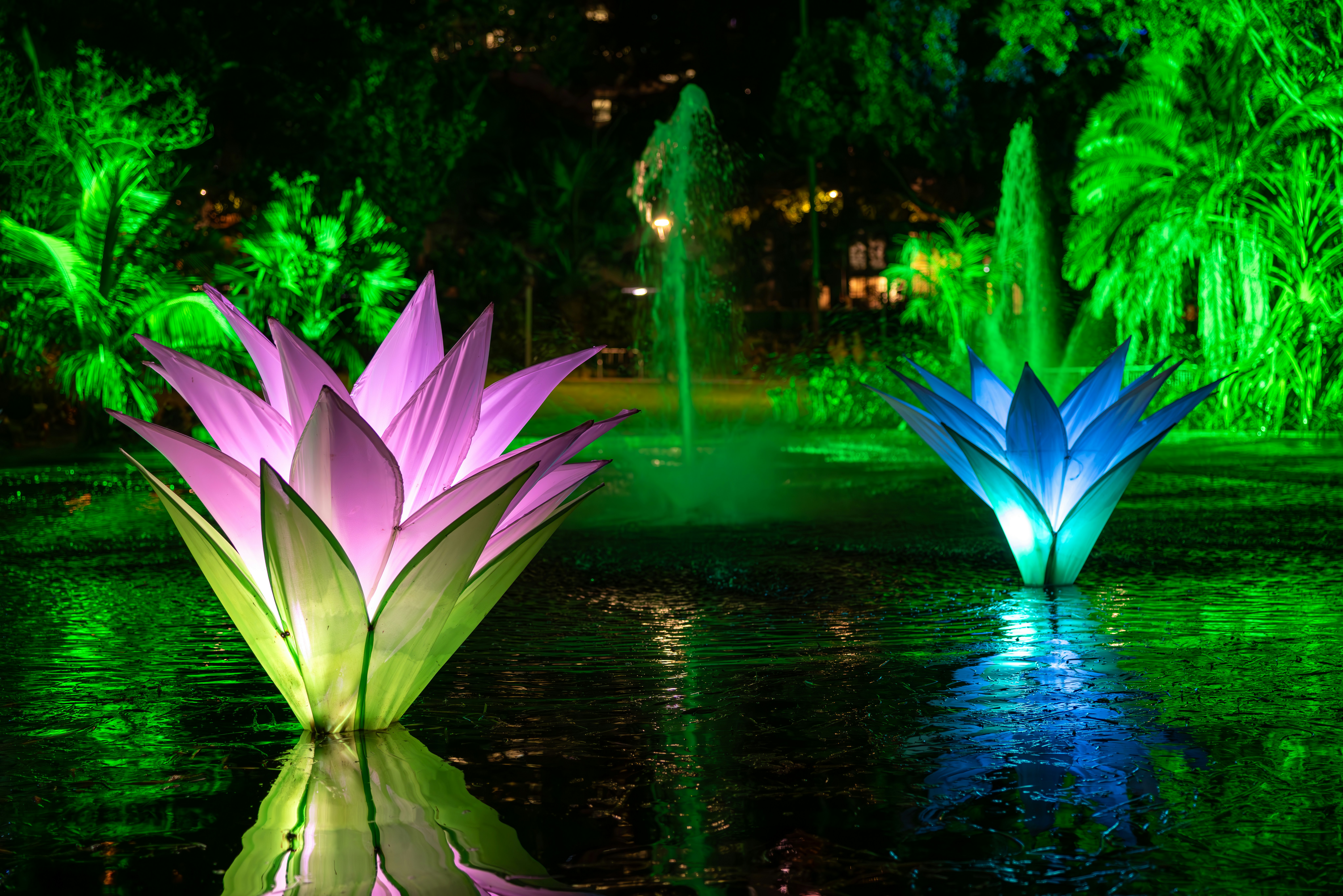 Lightscape at Brisbane City Botanic Gardens