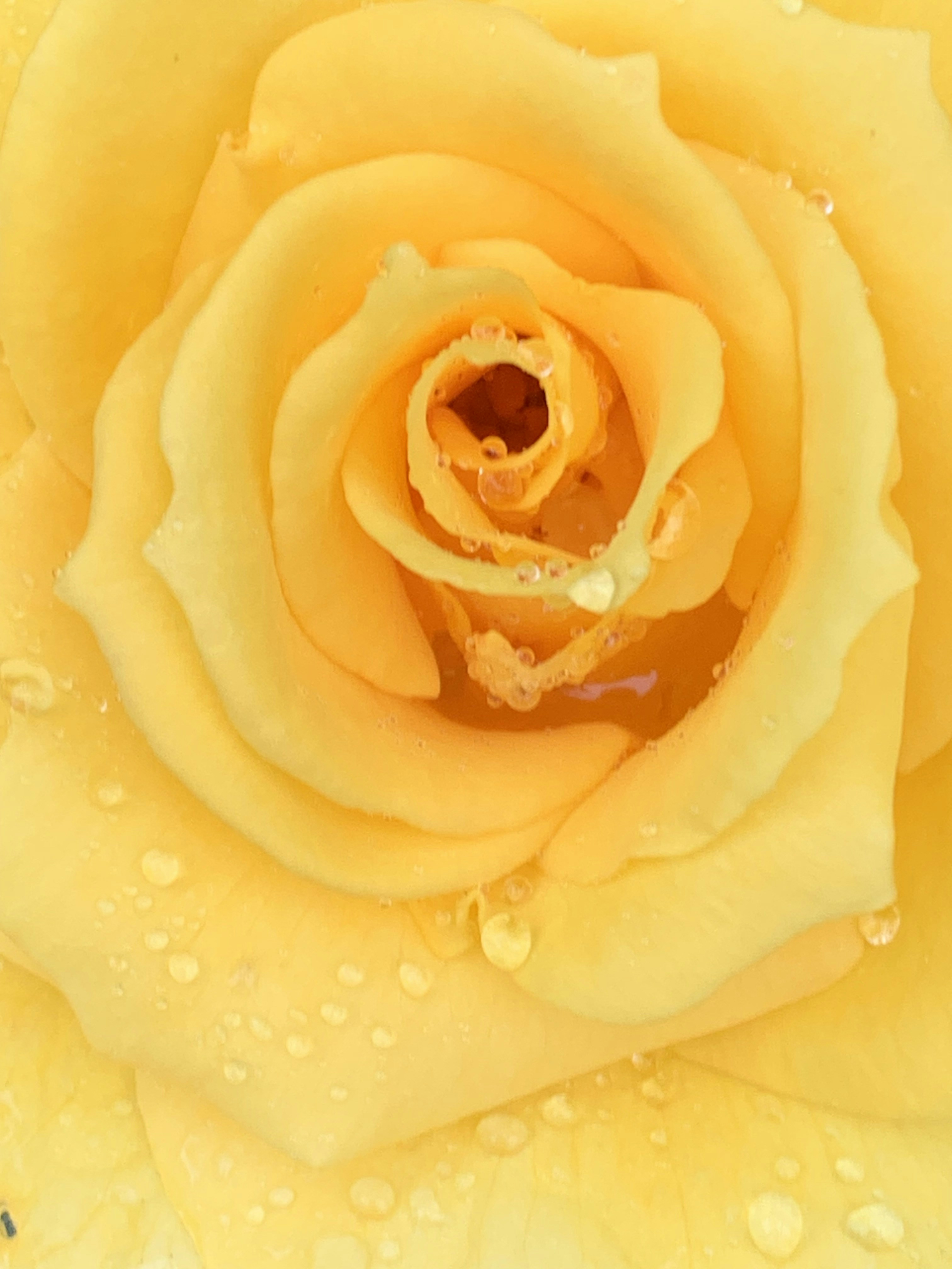 Jasper (@crows_core) | Unsplash 사진 커뮤니티