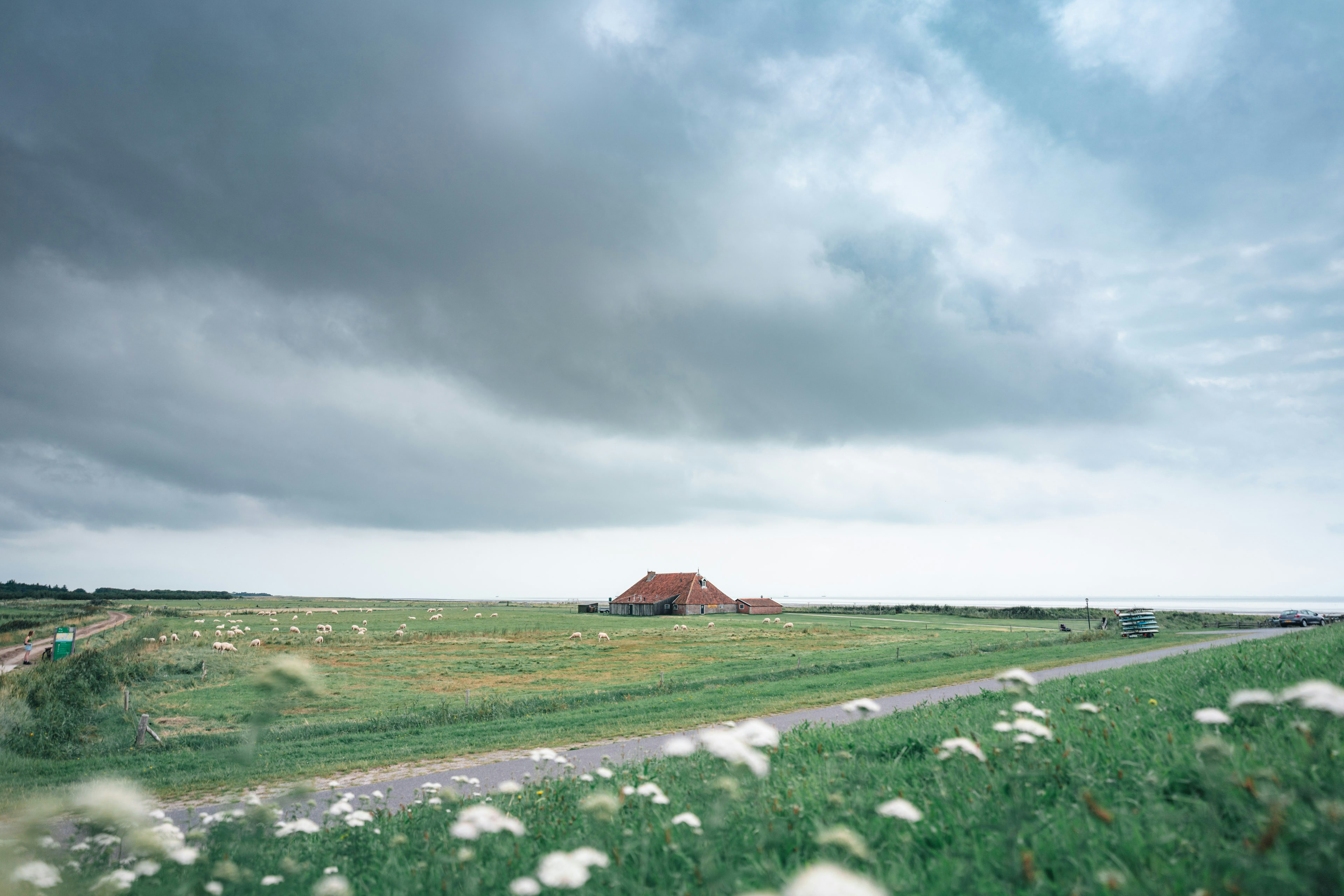 Red-roofed farmhouse under a moody sky on a wind-swept plains
