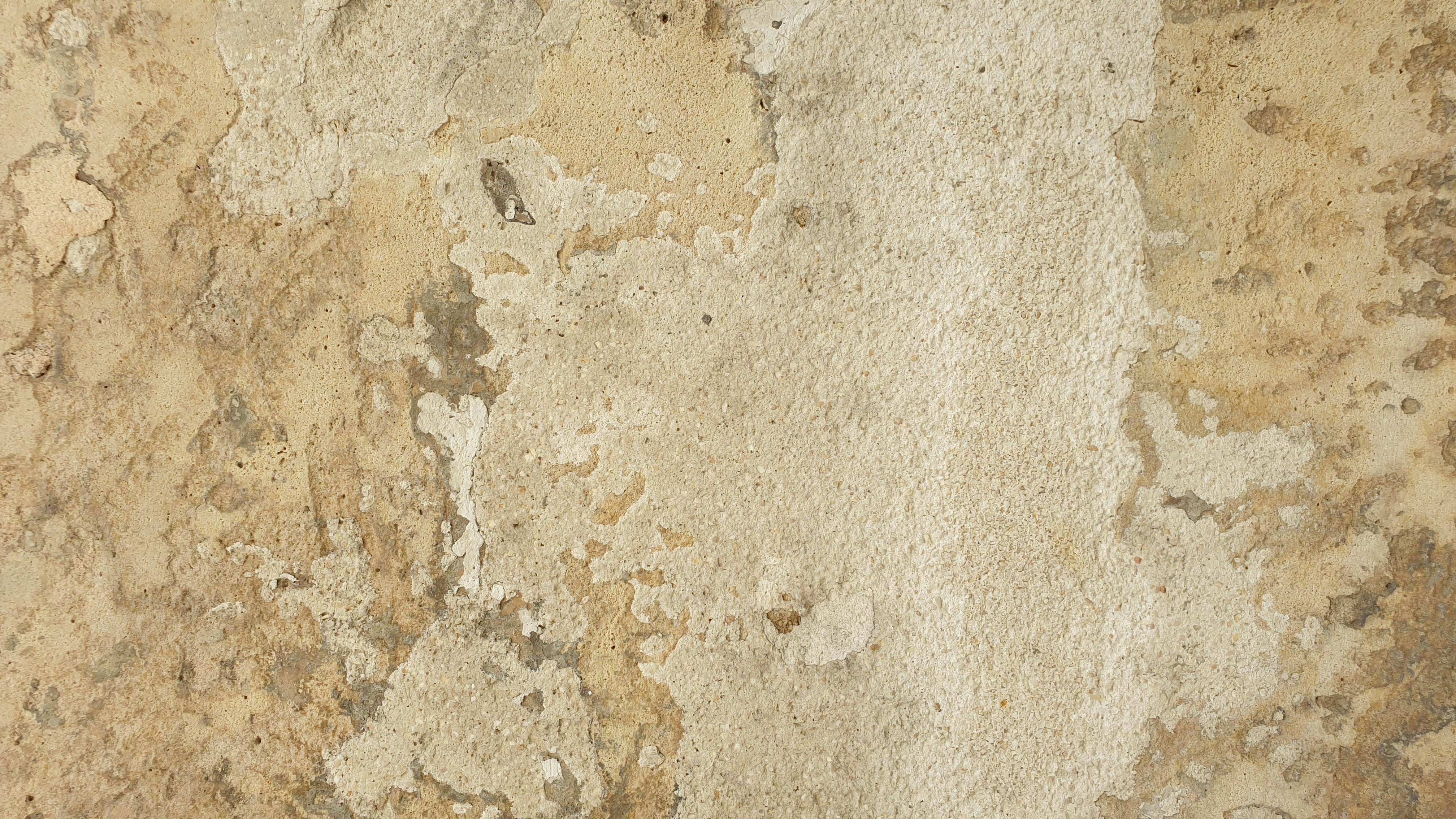 Beige Background Pictures | 1K+ Free Images on Unsplash