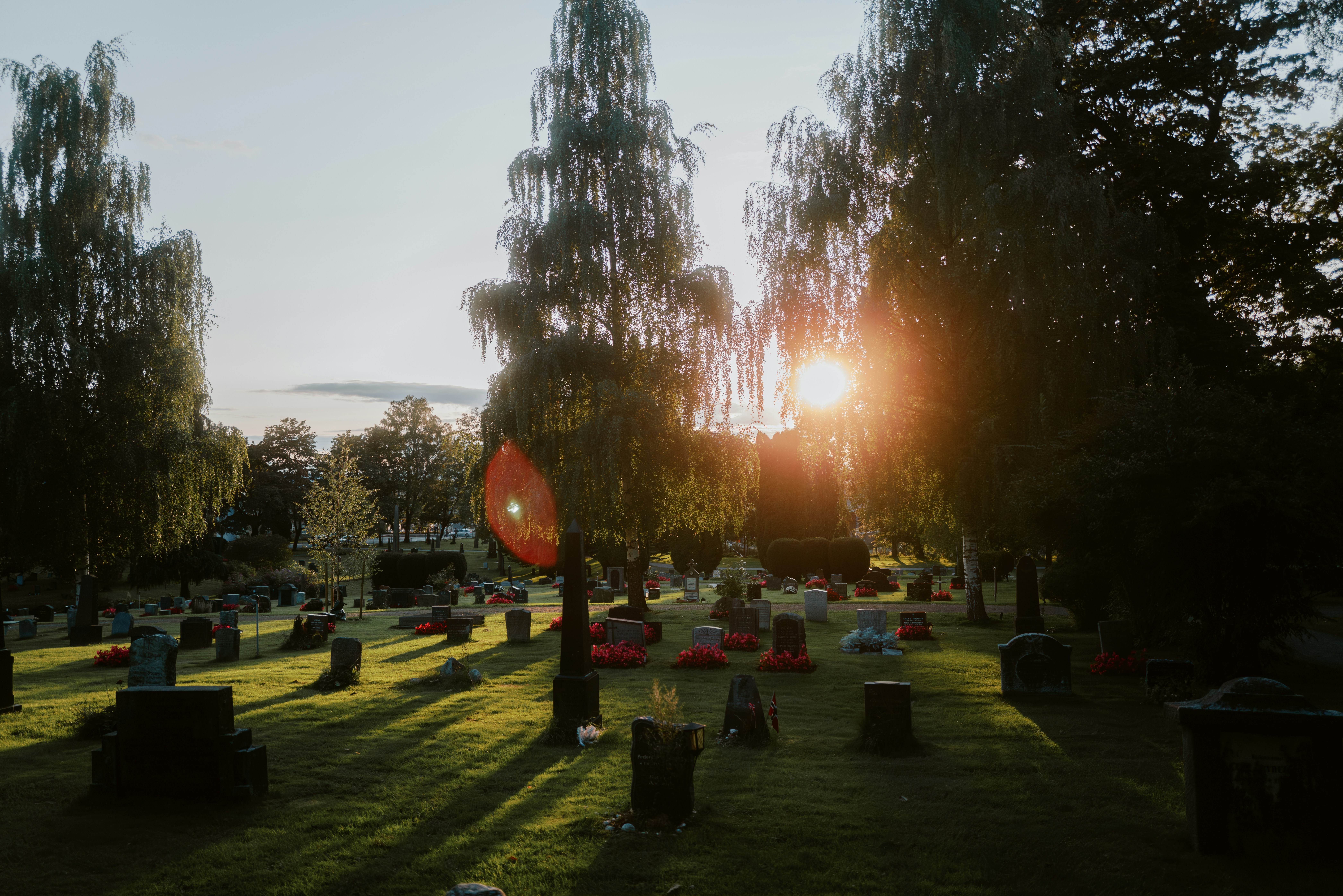 The sun is shining through the trees at a cemetery photo – Free Car ...