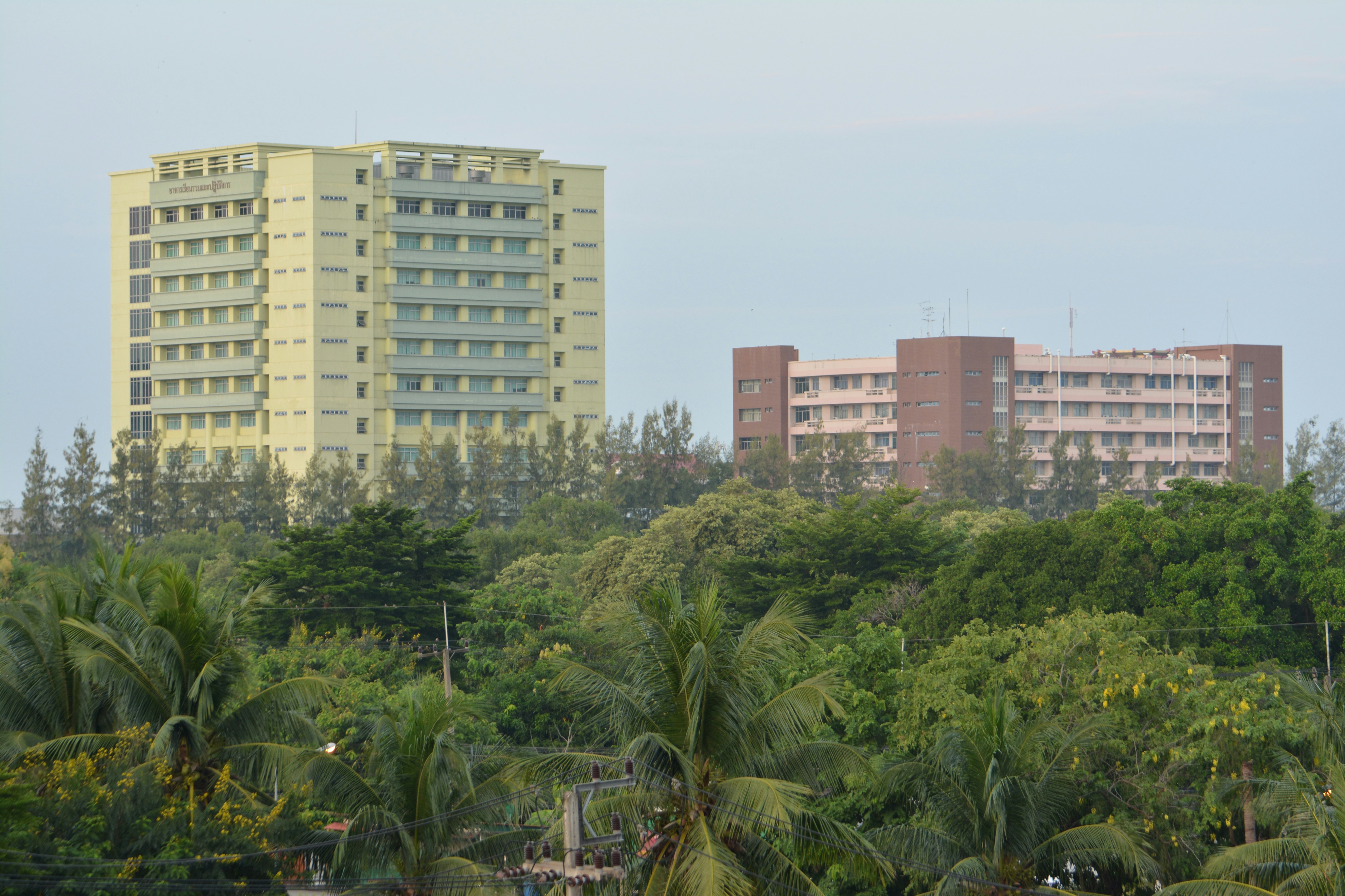 Photo by Kuyune with Nikon D5200