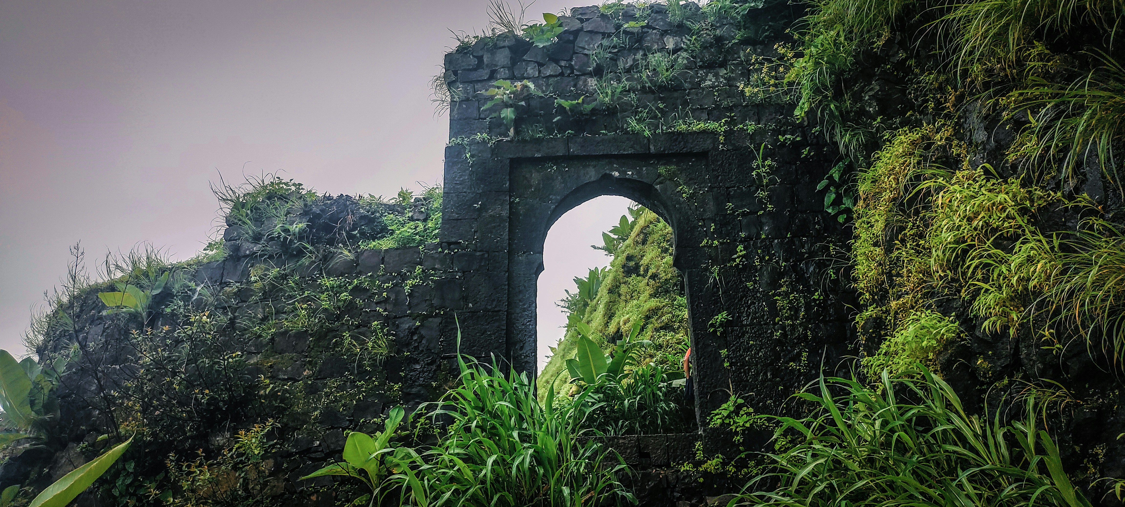 Moss-Draped Archway Framing a Verdant Ruin