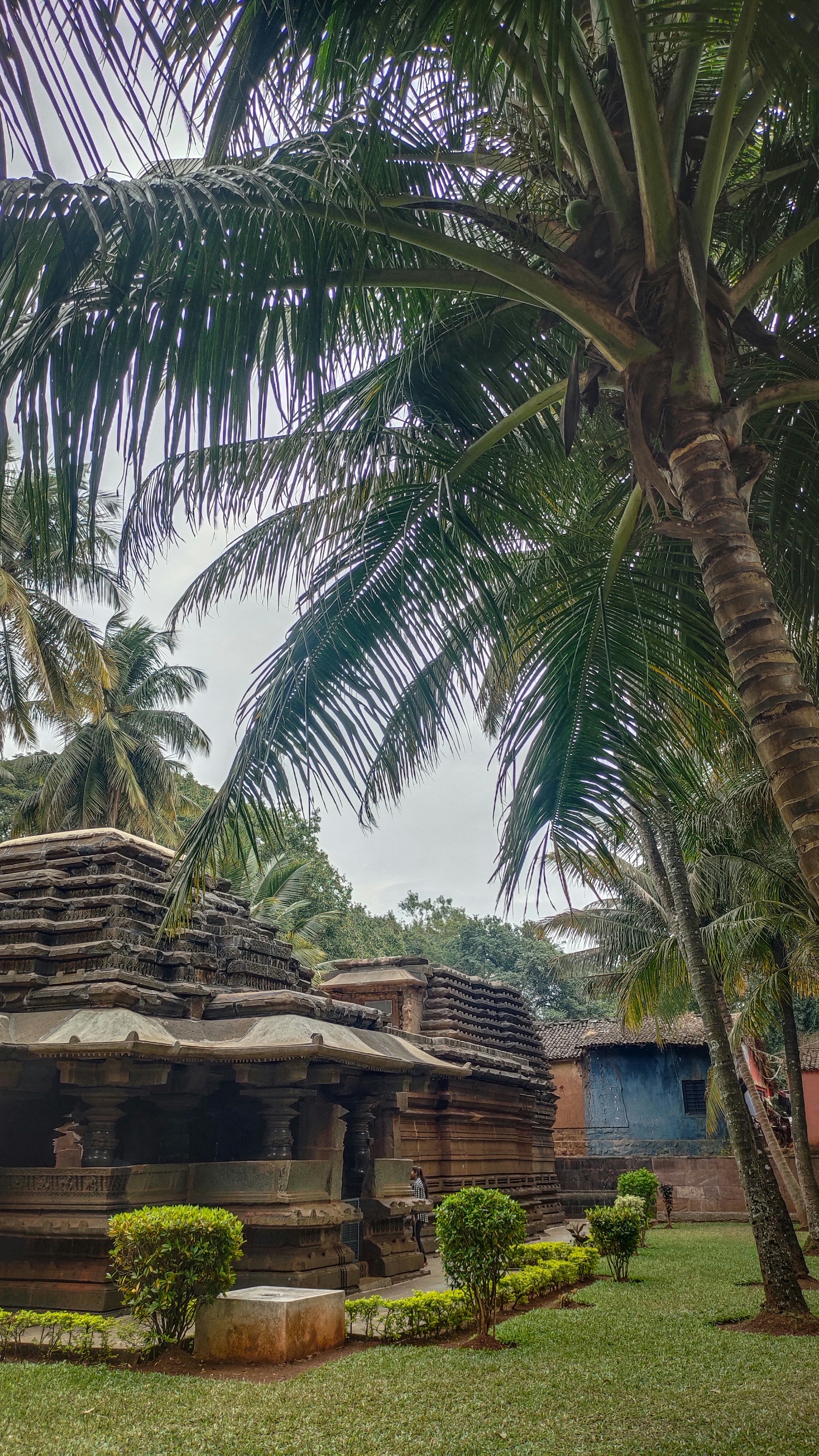 Historic stone temple nestled among lush palm trees, showcasing intricate architecture and vibrant greenery.