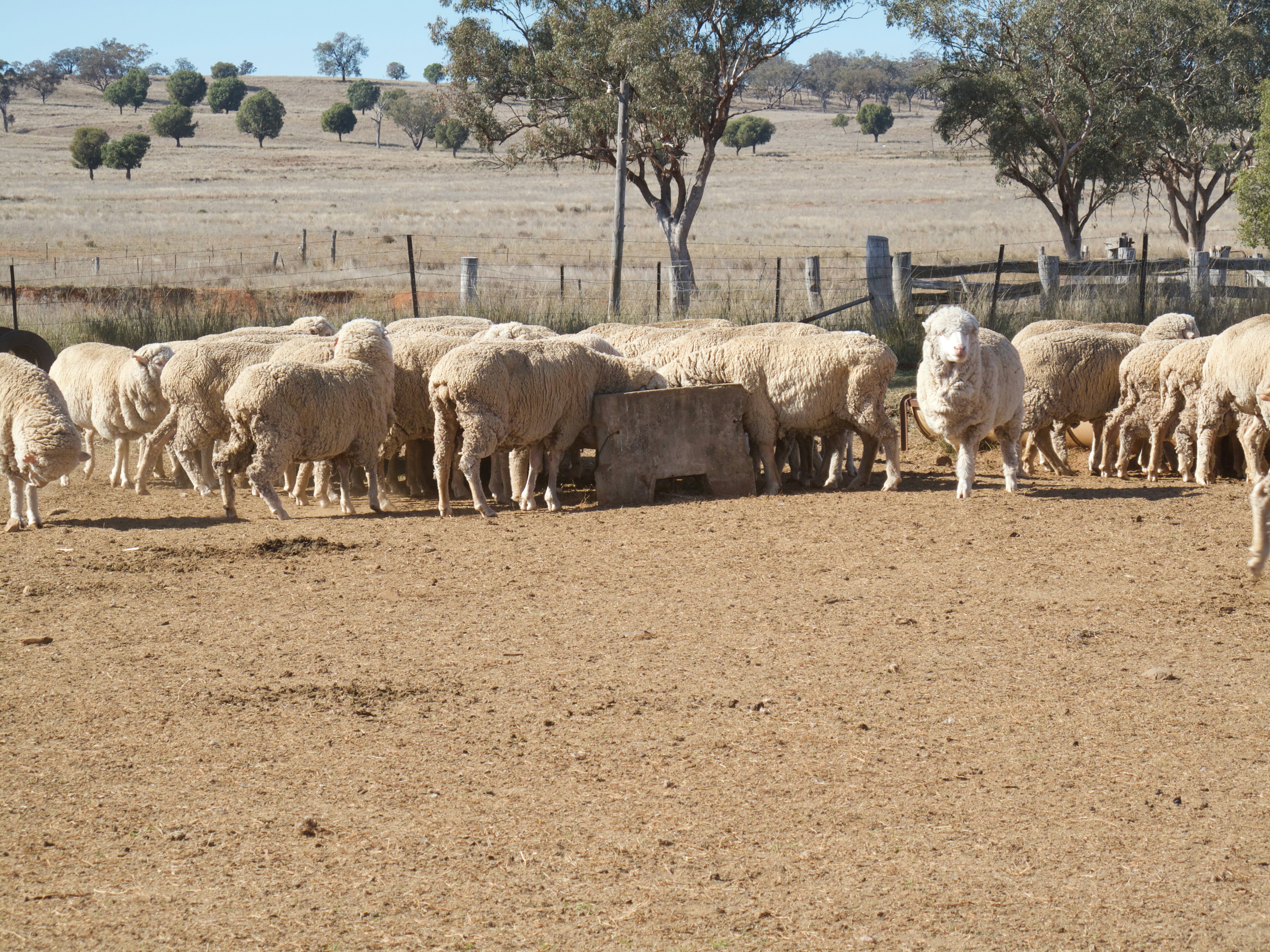 Photo by Cybele with Canon PowerShot G10