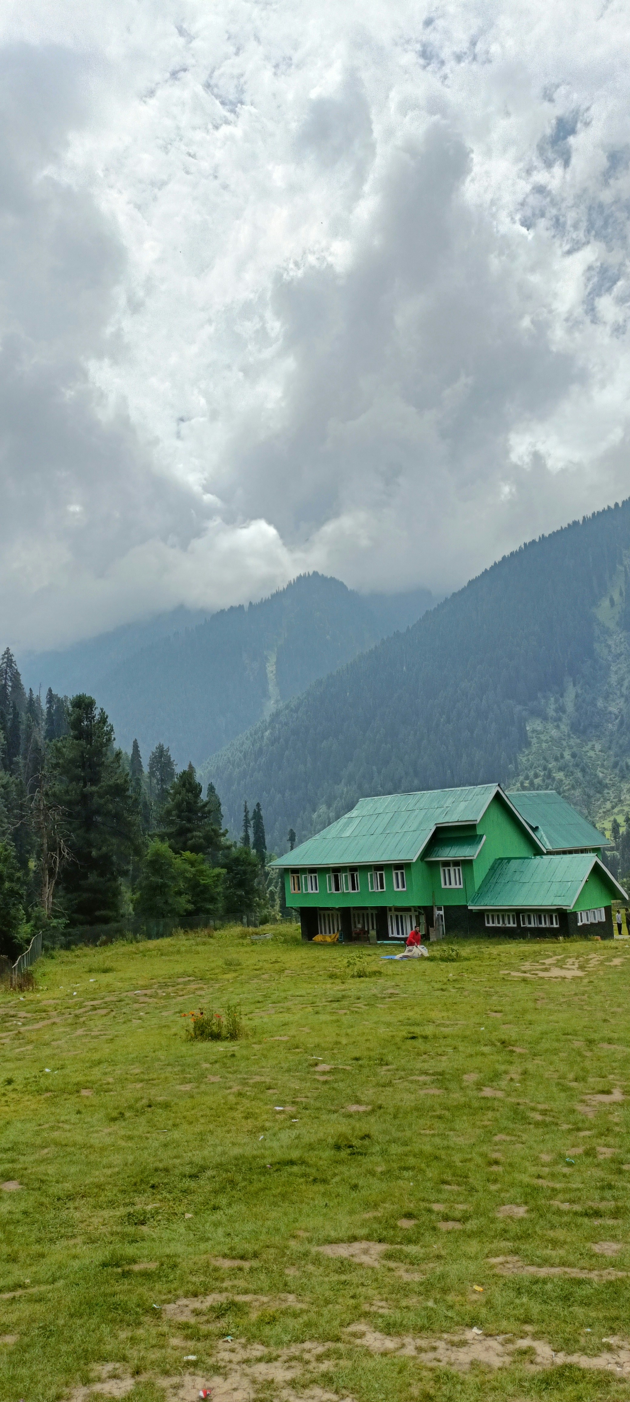 Alpine Green Chalet: A Green Roof Amid Meadow and Mist