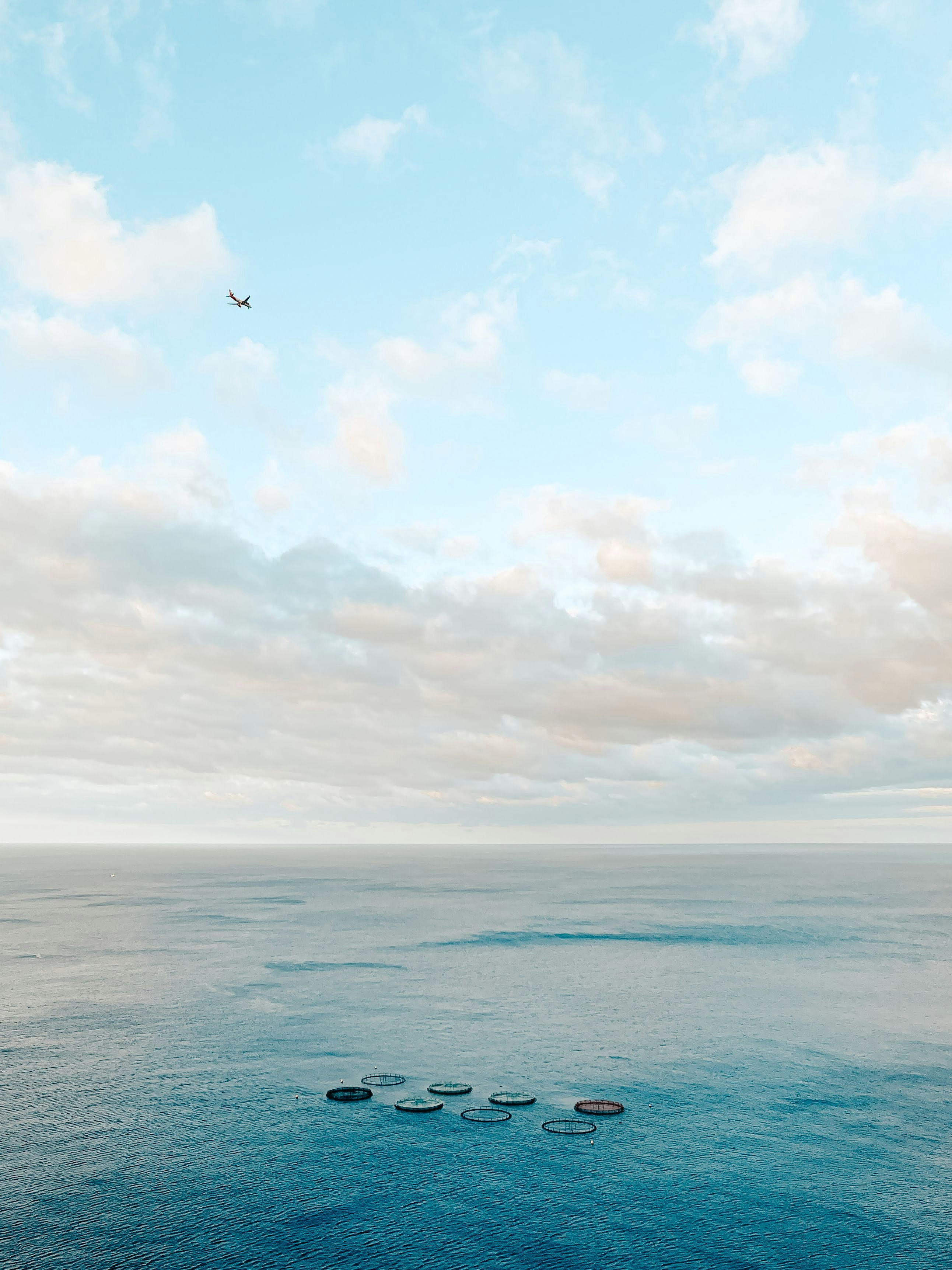 Floating Circles on a Tranquil Sea Twilight