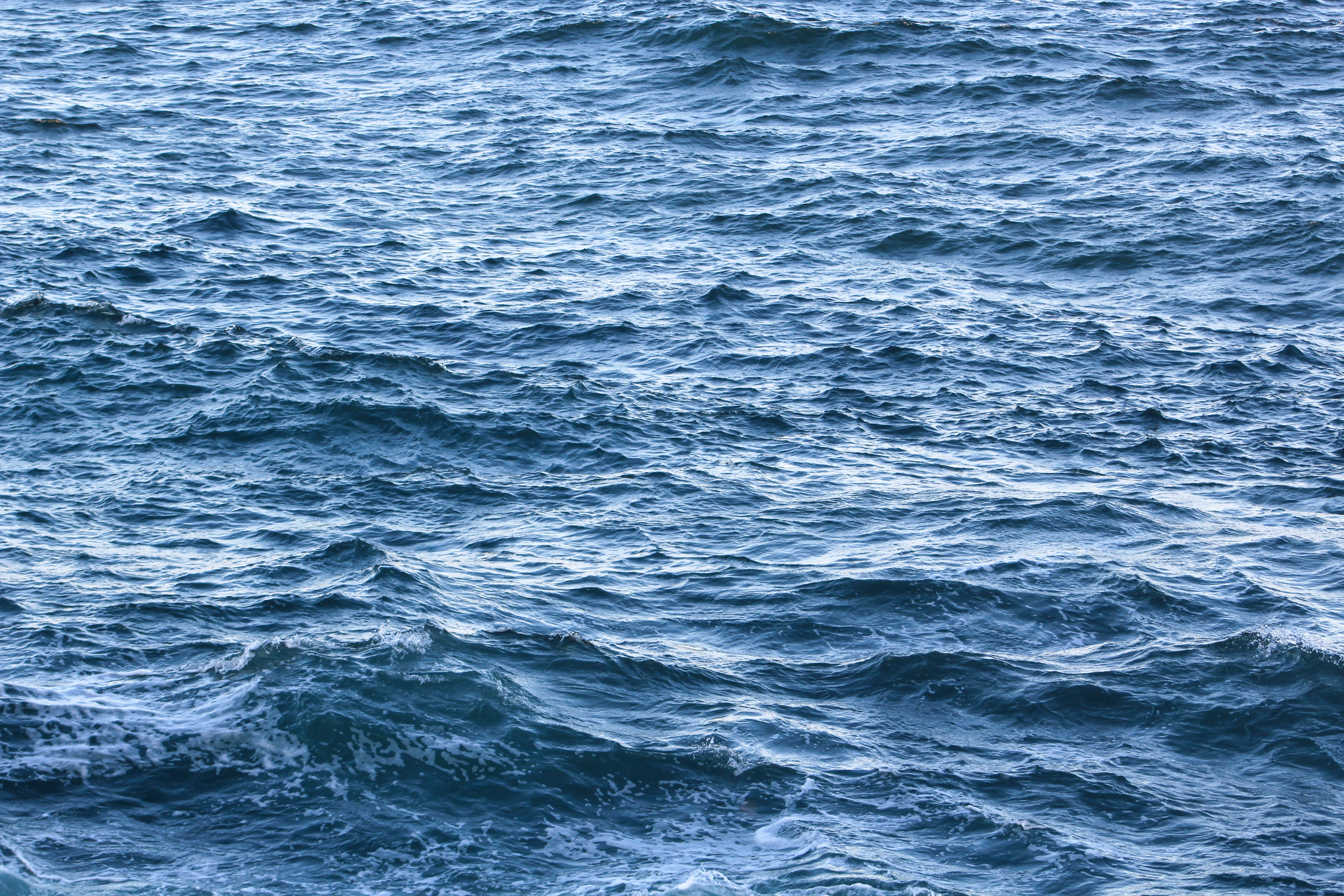 Rippling blue ocean waves under soft daylight.