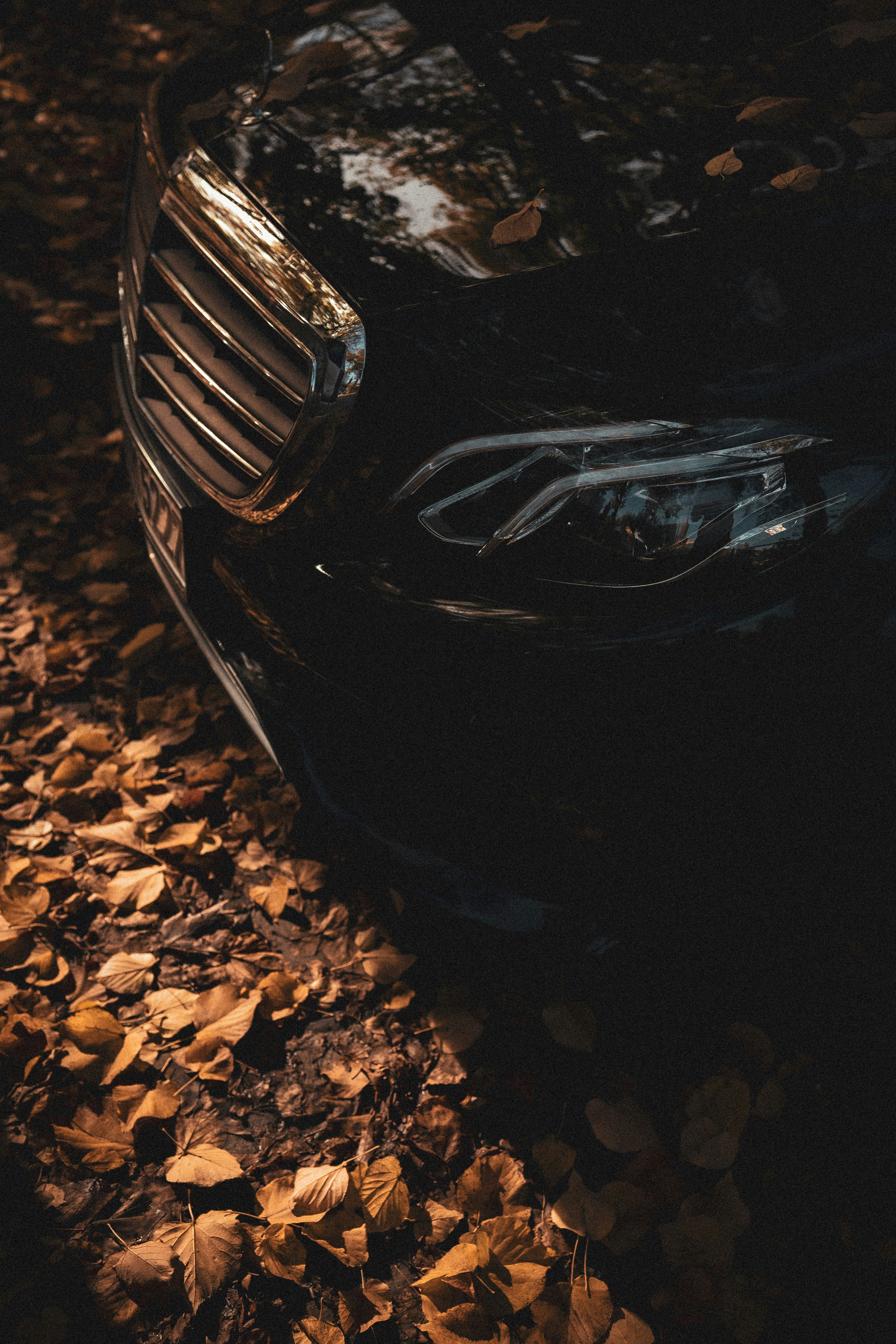 On the Edge of Autumn: Framed by a Dark Buick