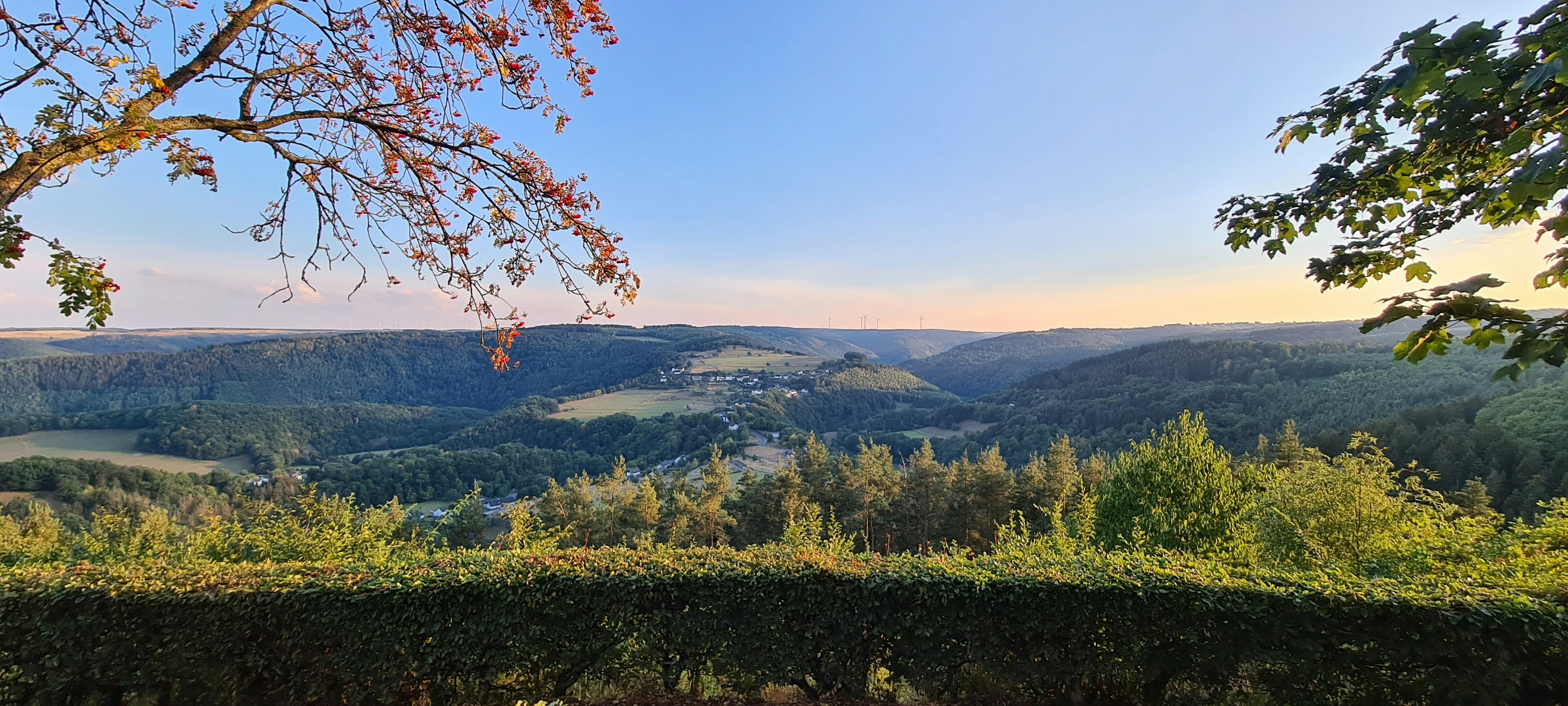 Expansive view of a lush green valley under a clear blue sky with scattered trees framing the scene.