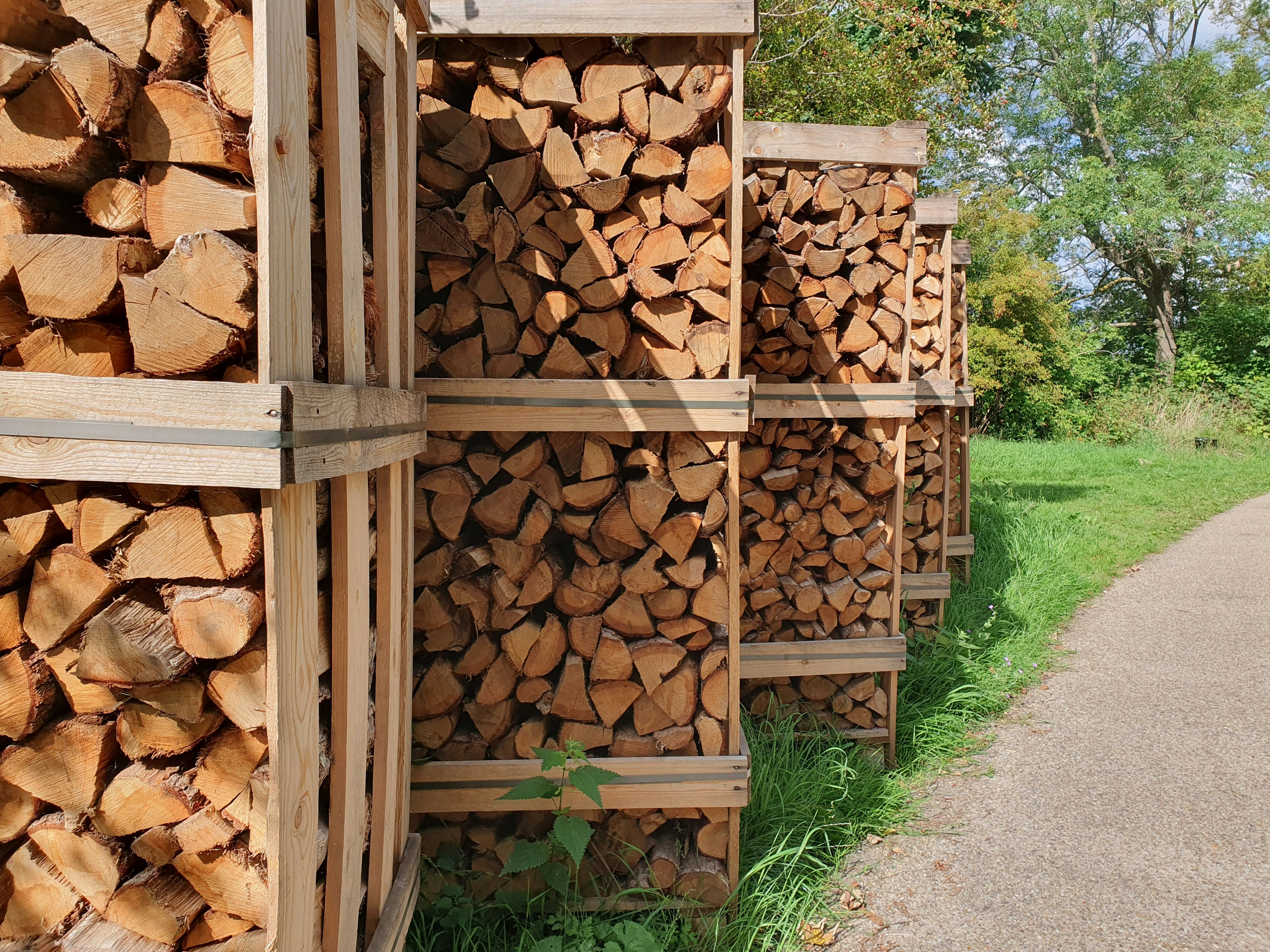 A bunch of logs stacked on top of each other photo – Free Wood Image on ...