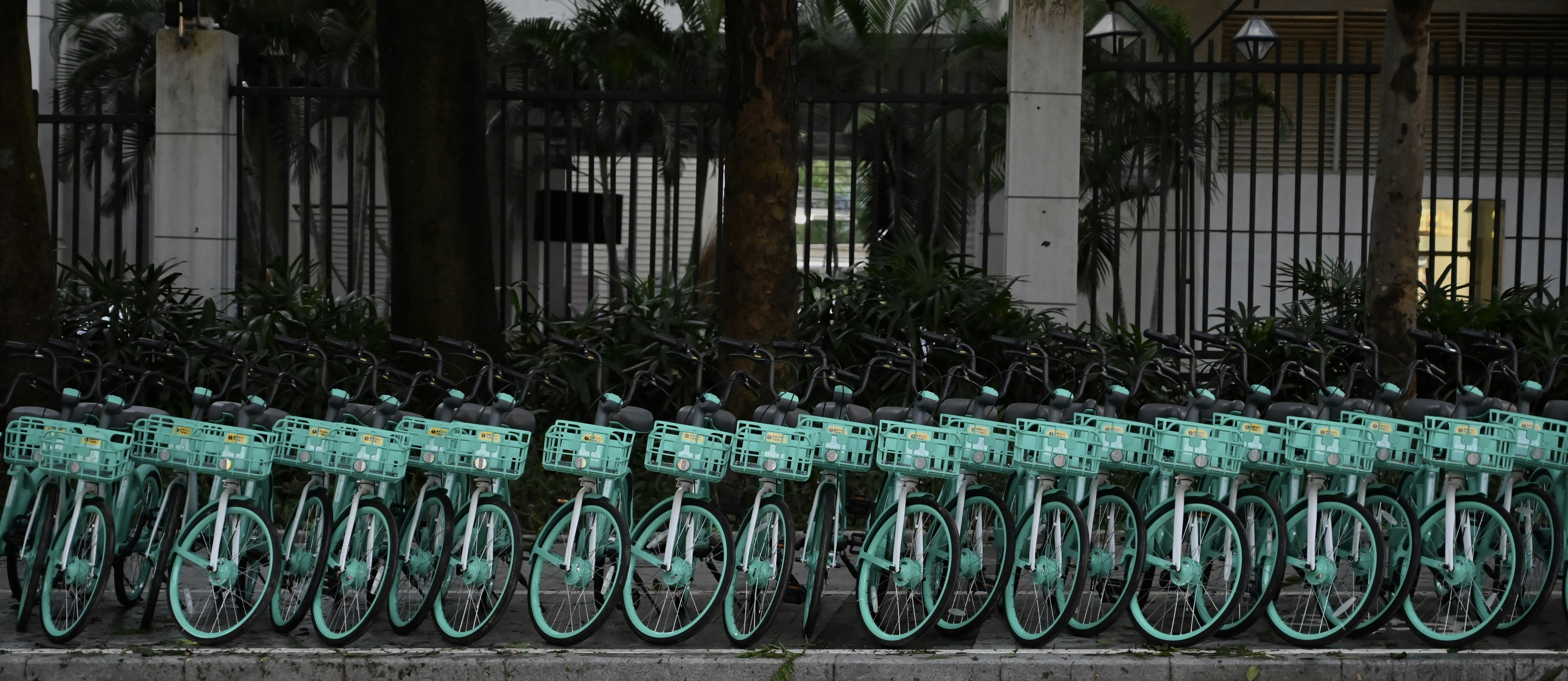 A bunch of bikes parked next to each other photo – Free Bicycle Image ...