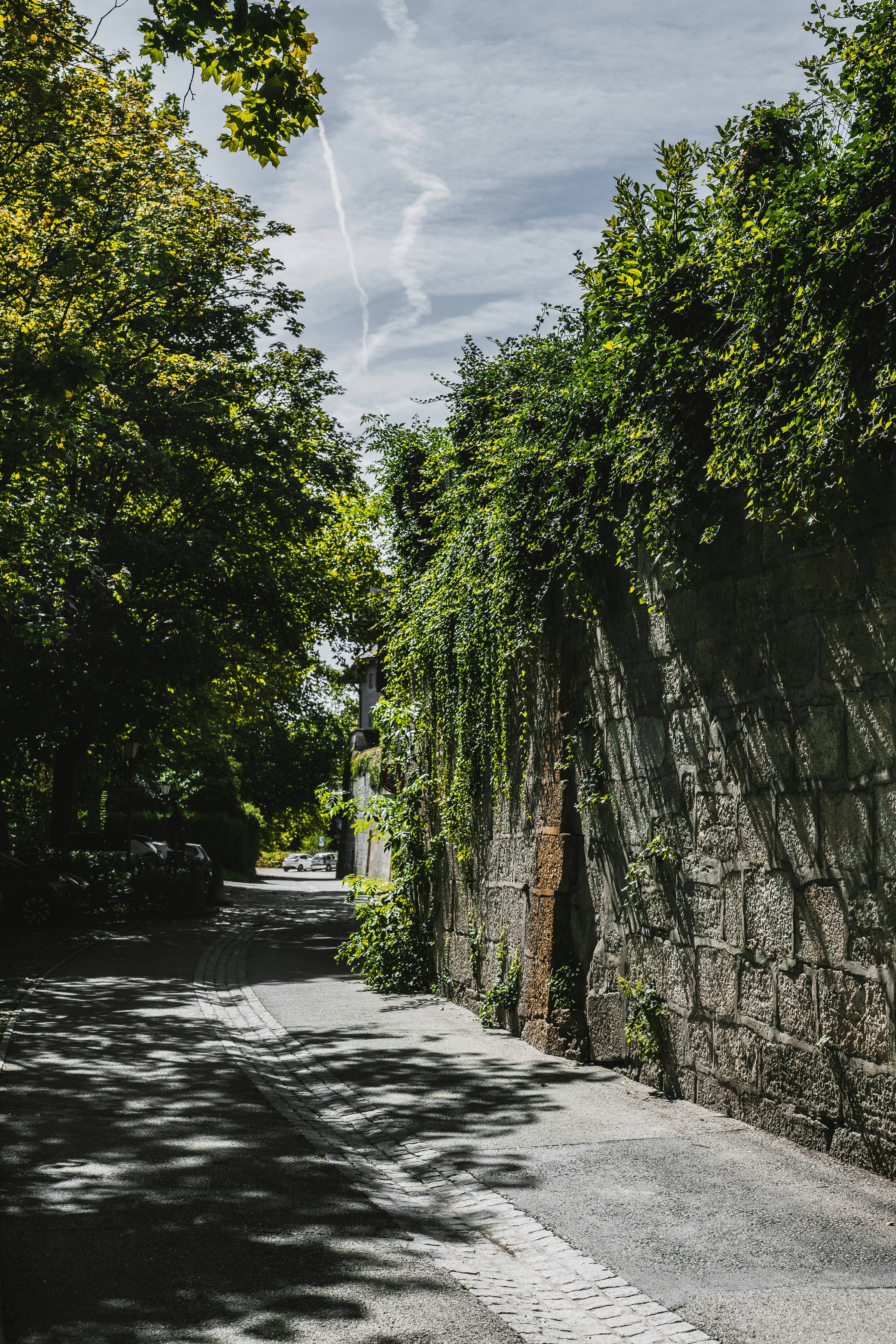 Photo by iwin with Panasonic Lumix S5