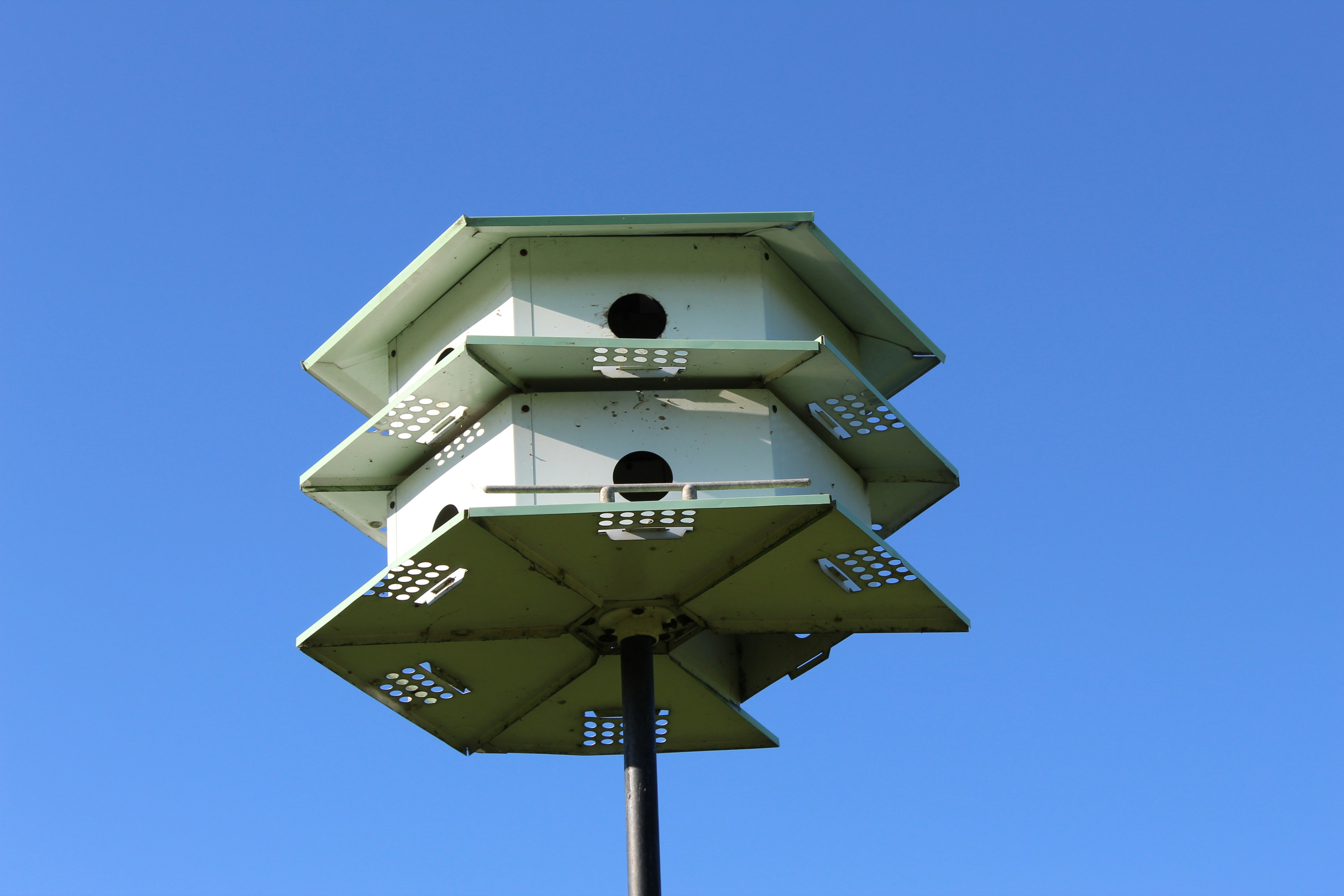 Photo by Tama Moni with Canon EOS 1300D