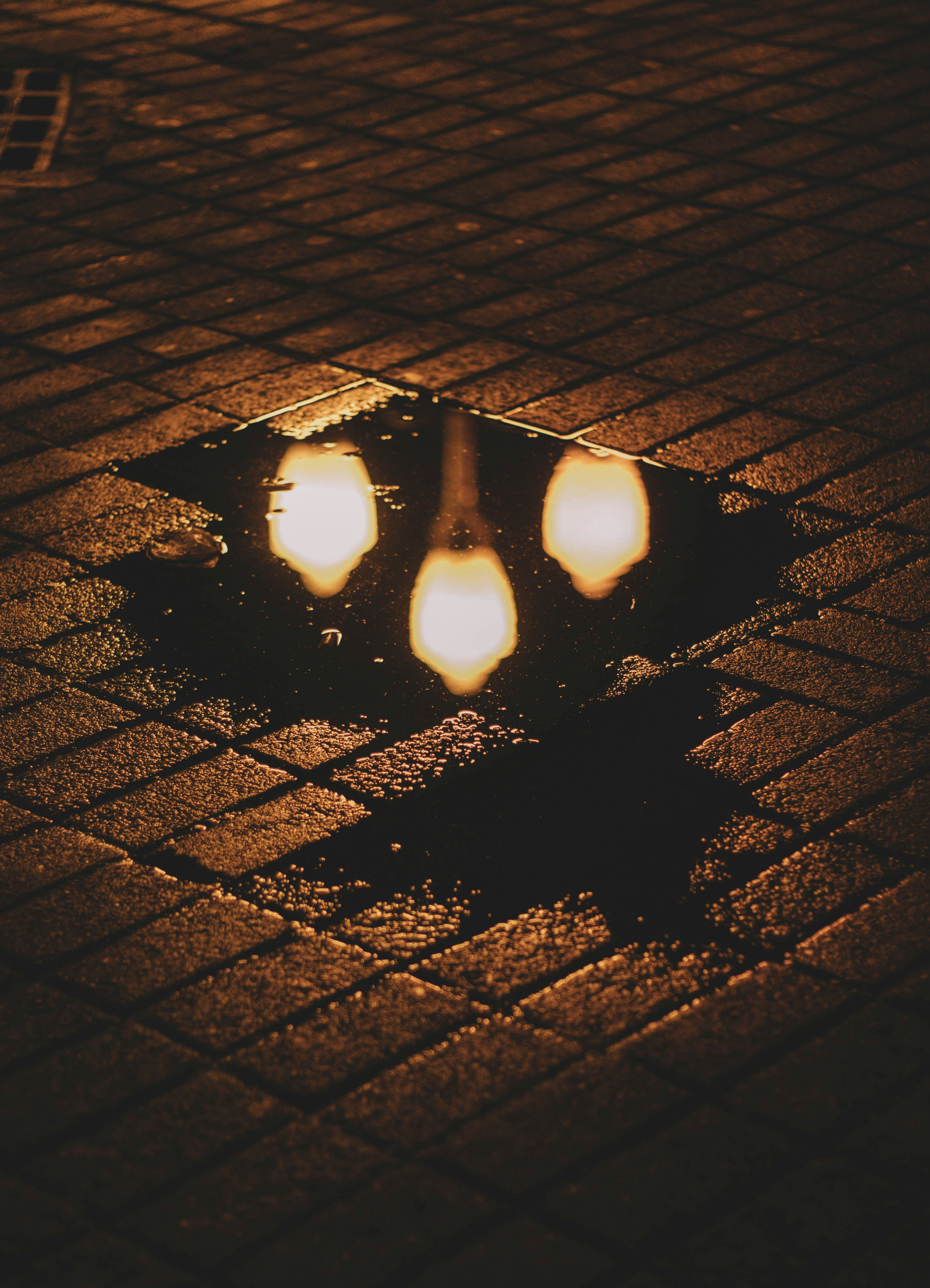 Amber Echoes on Wet Brick: A Night Puddle Portrait