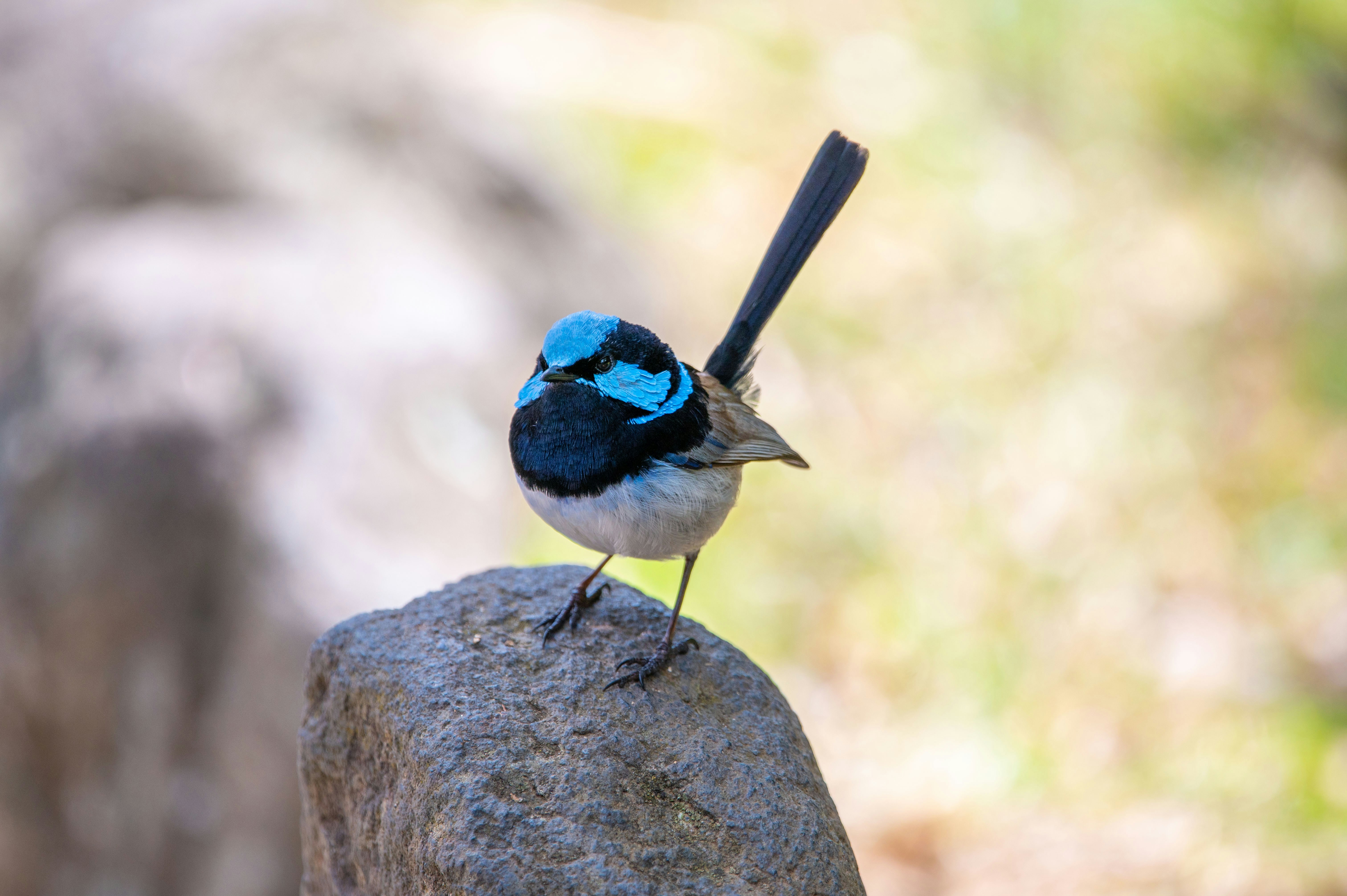 Photo by Leon Andov with Nikon D780