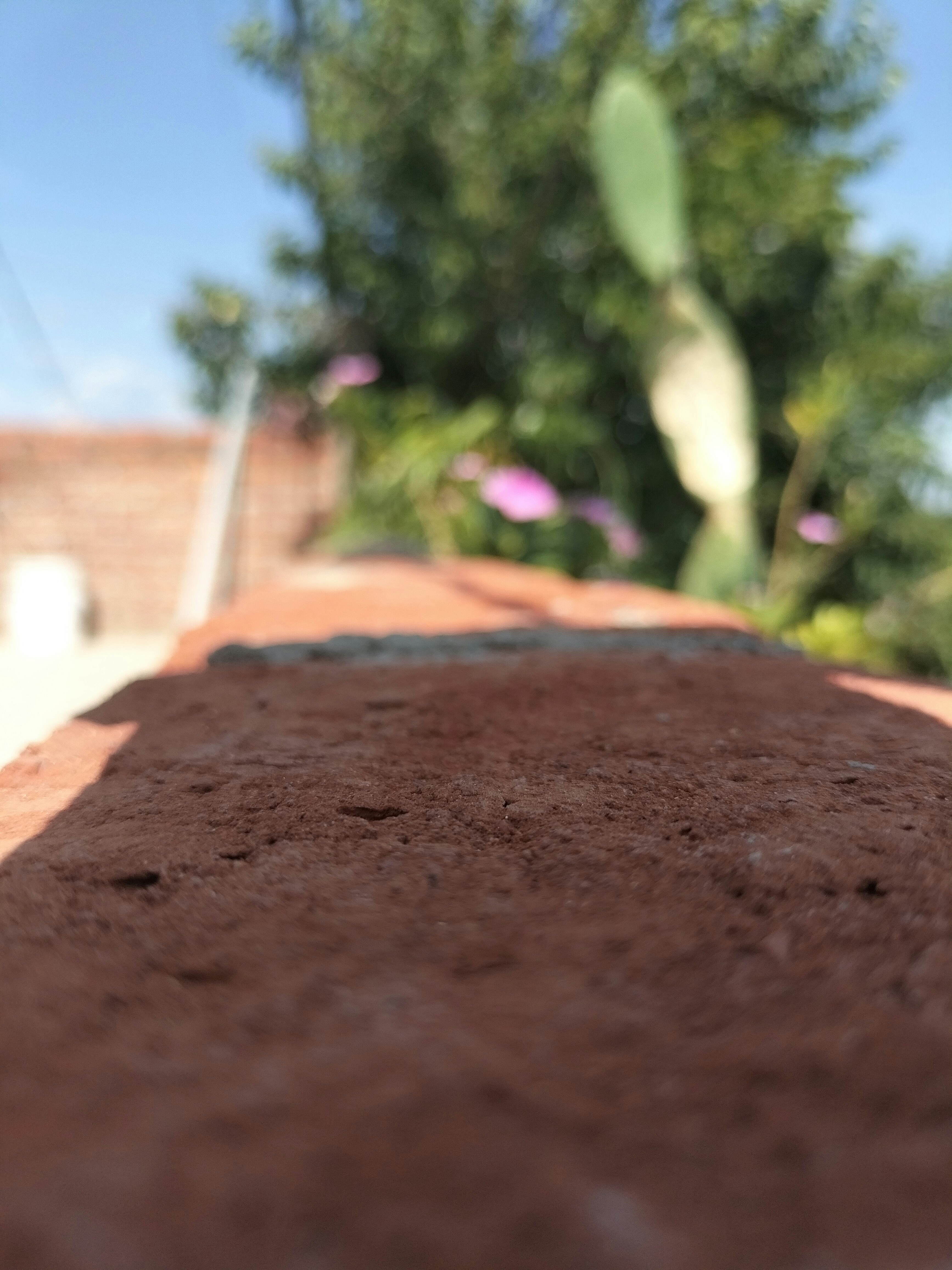Blurred low-angle shot of a brick surface with a garden backdrop, emphasizing depth and texture of the foreground brick and soft bokeh in the background.