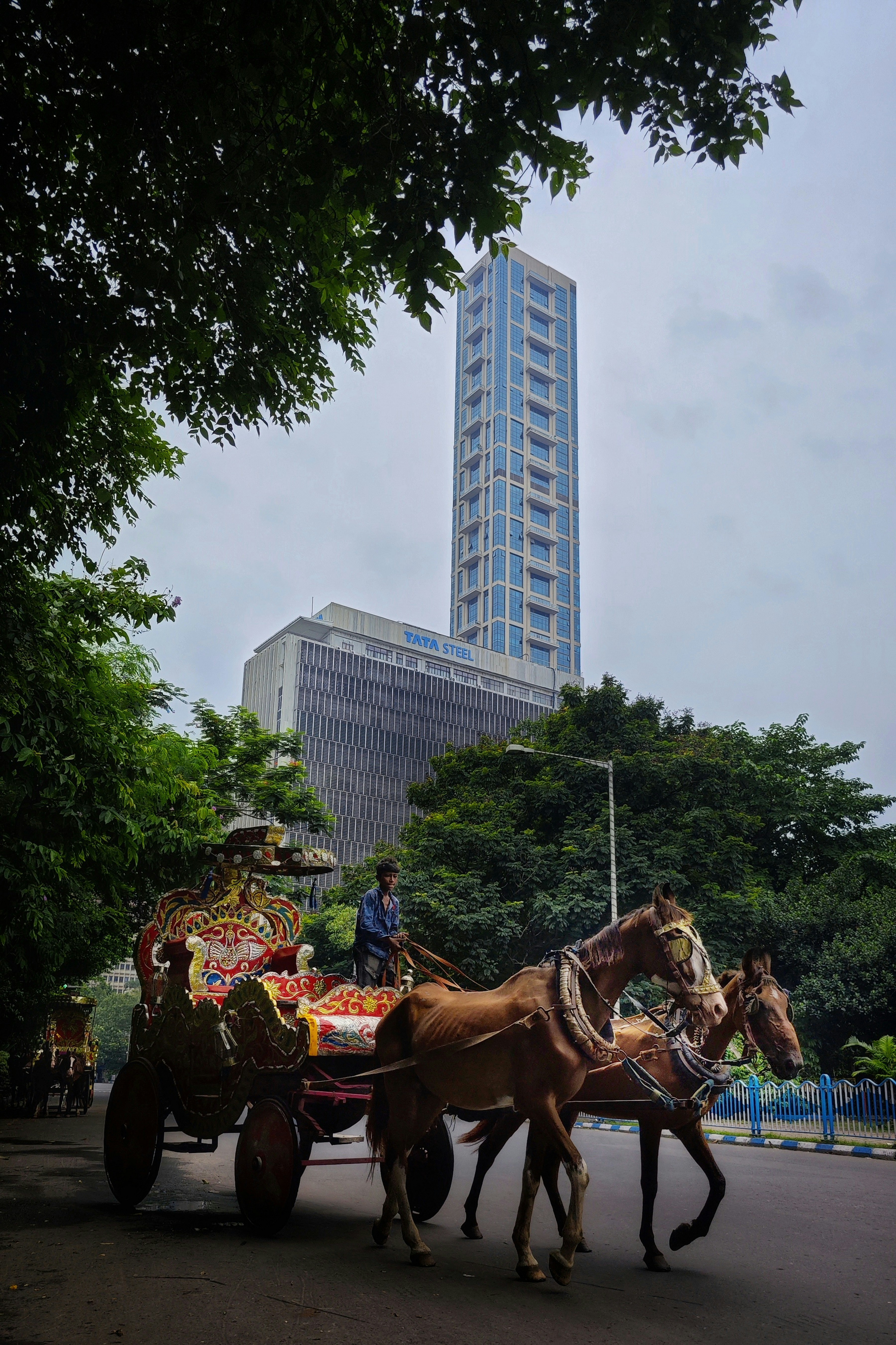 Hooves Under Glass: A Horse-Drawn Carriage Traverses the City Skyline