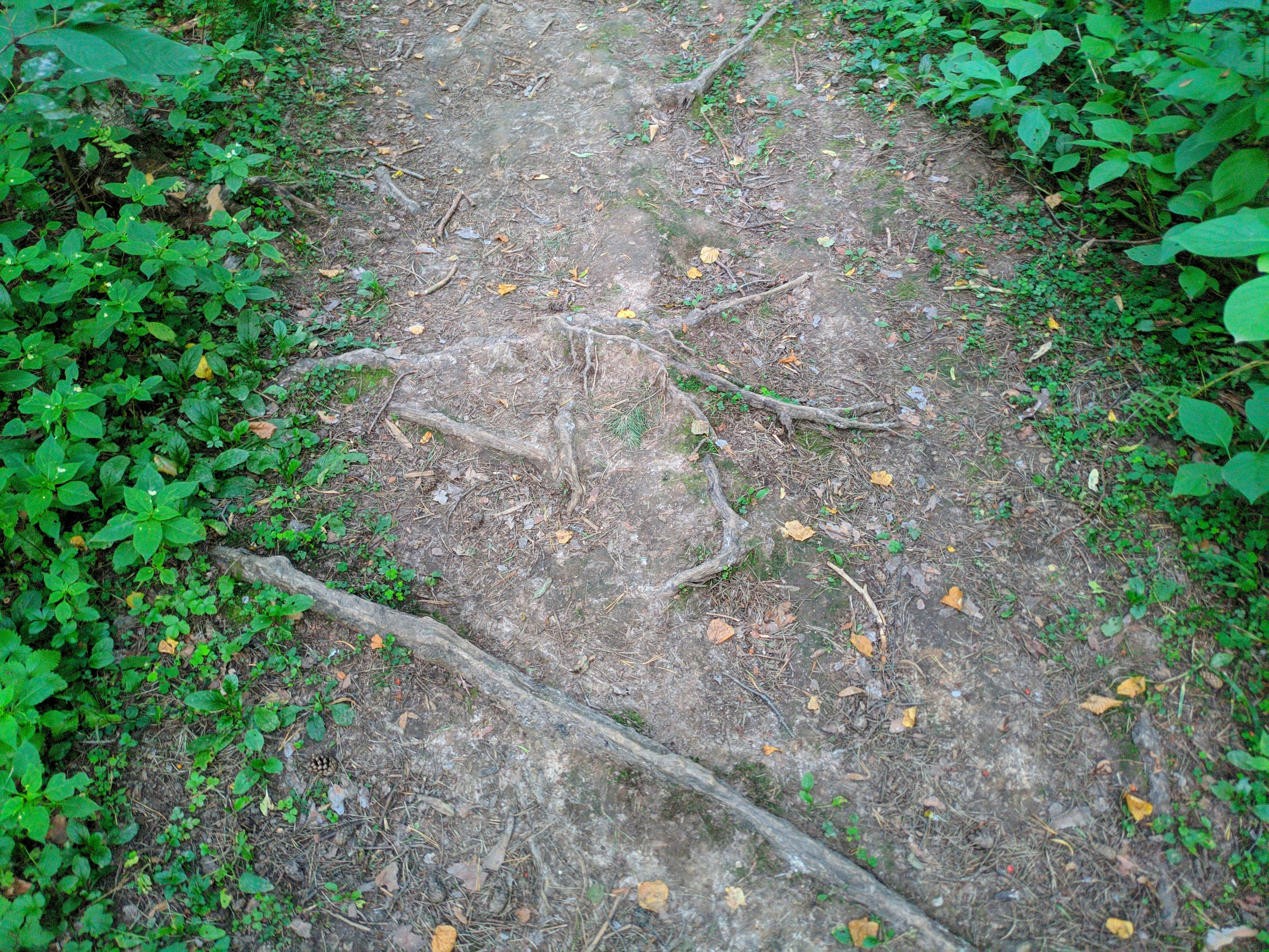 Photo by Alexander starcew with Asus ZenFone 5