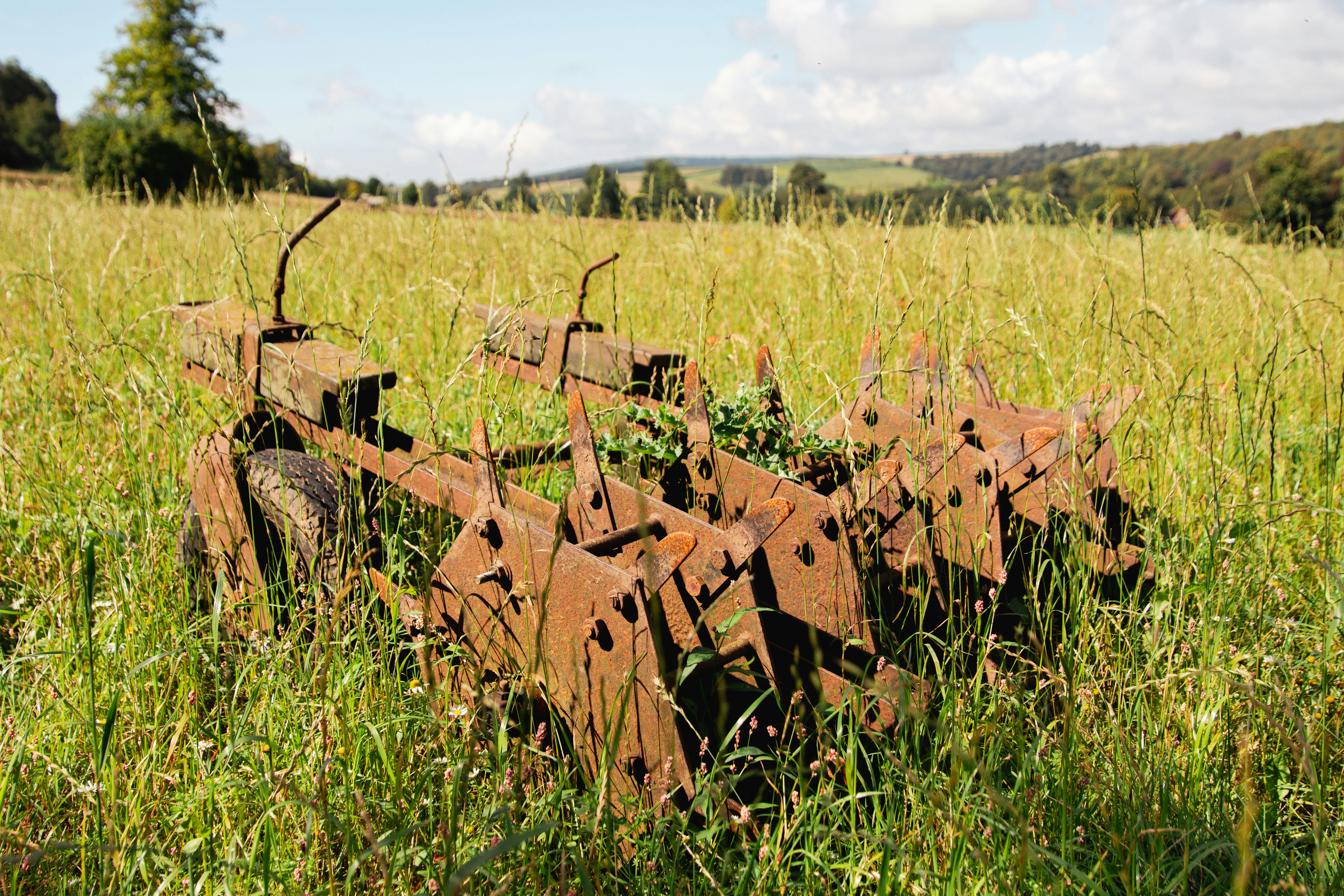 An abandoned, rusted agricultural implement overgrown with grass, symbolizing the passage of time and nature's reclamation.