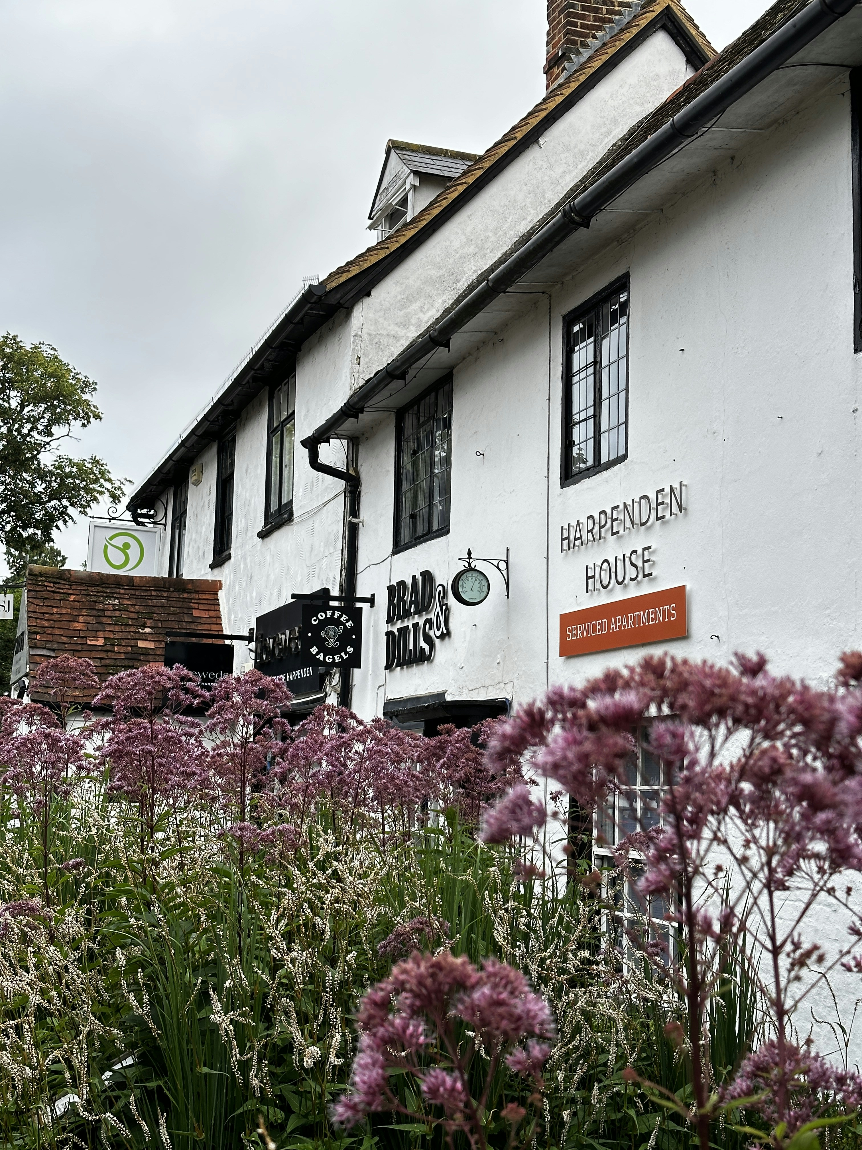 Charming Facade Amidst Blossoms