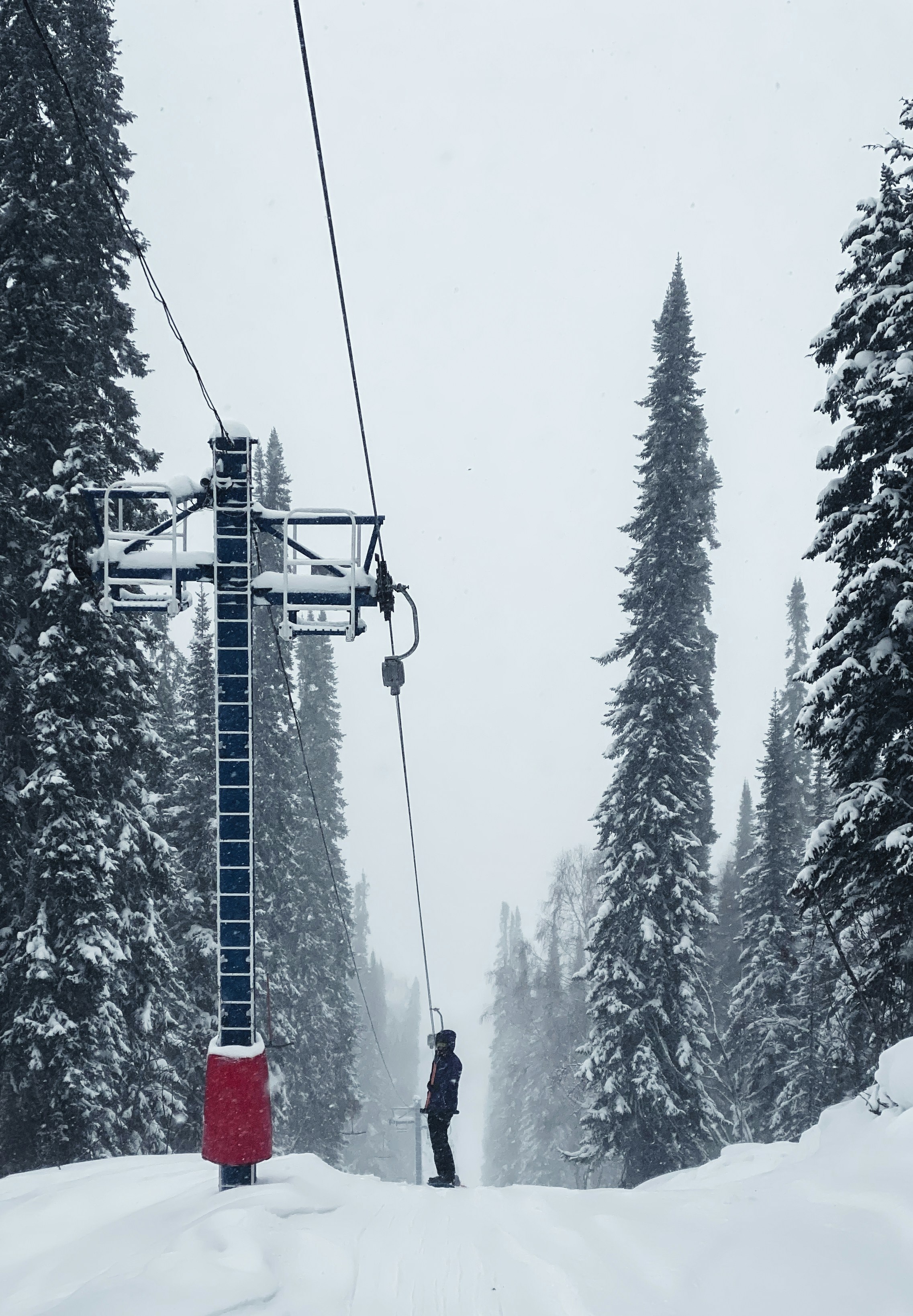 Solitary Figure Beneath a Snow-Laden Ski Lift Among Towering Pines