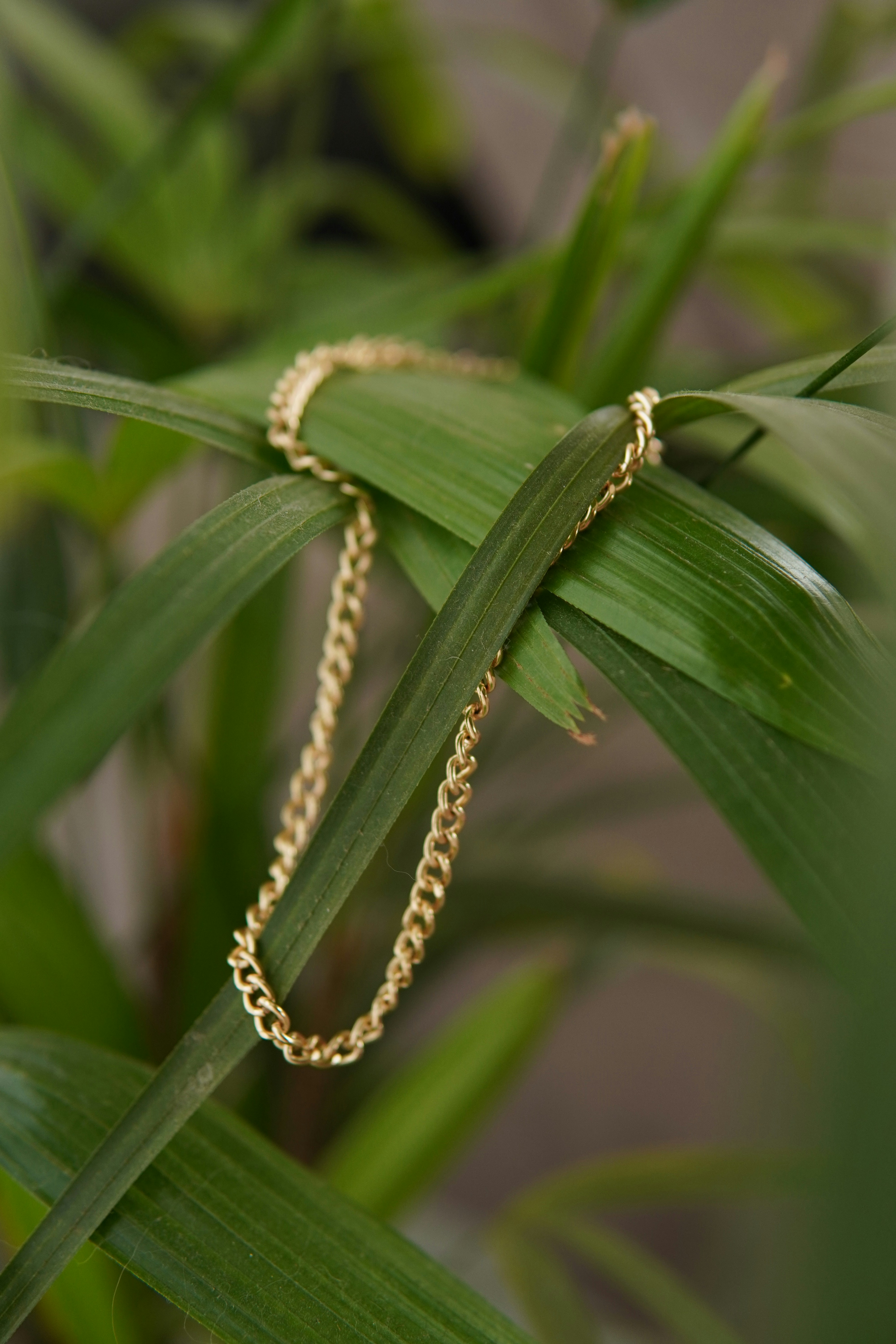 Gold Chain on Green Foliage: A Quiet, Textured Moment