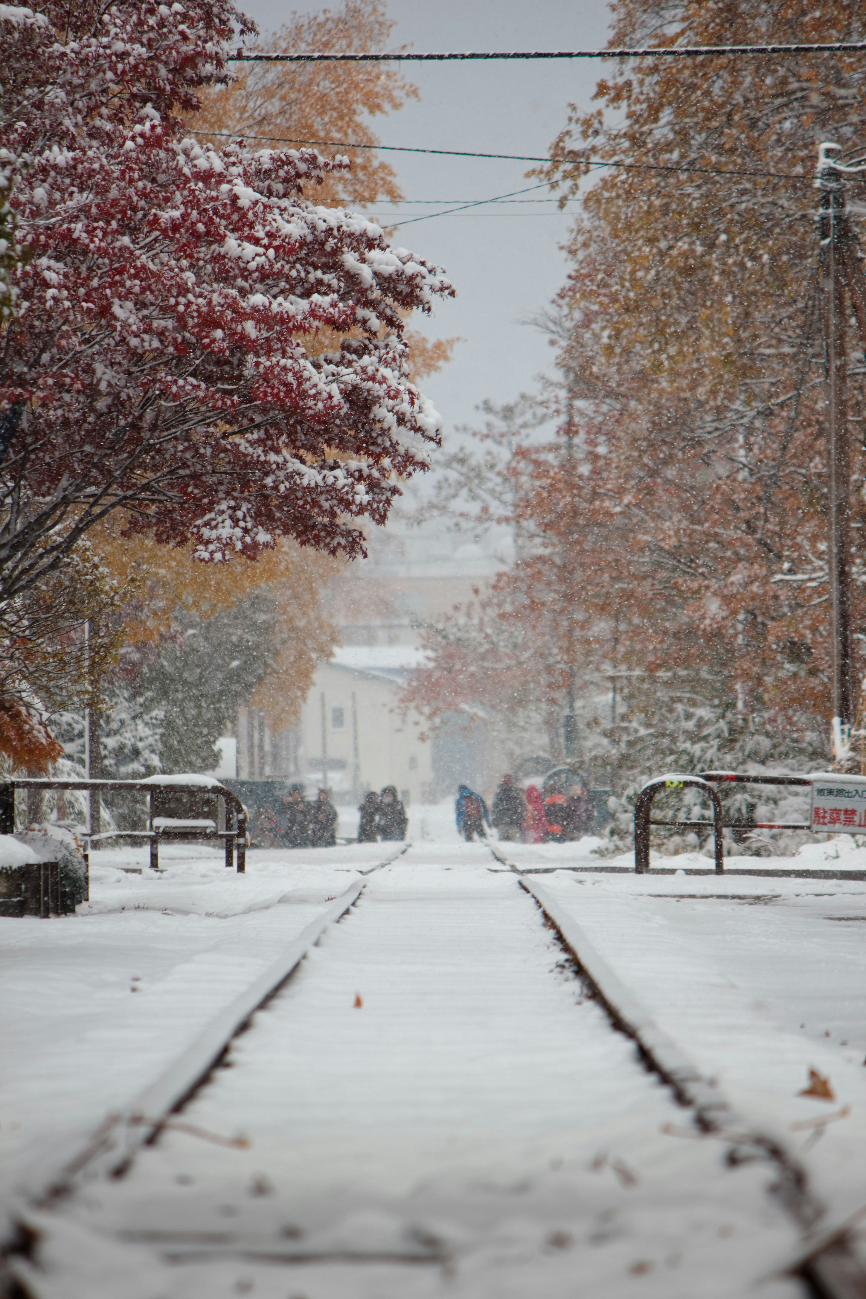 Snow blankets a quiet street with tram tracks running central, pedestrians in the distance under softly falling flakes.