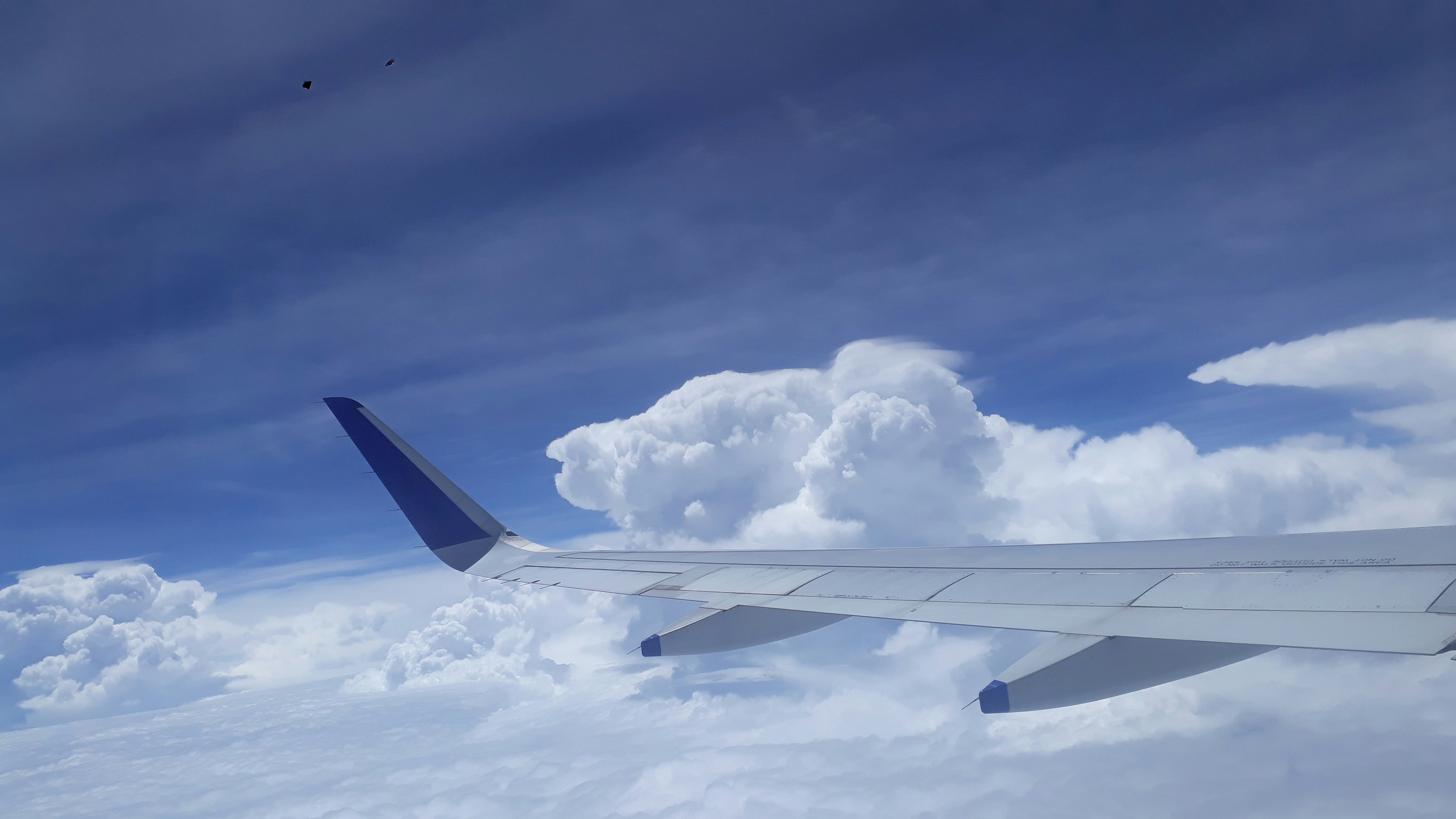 Wing over the Cloud Sea: A Quiet Altitude View