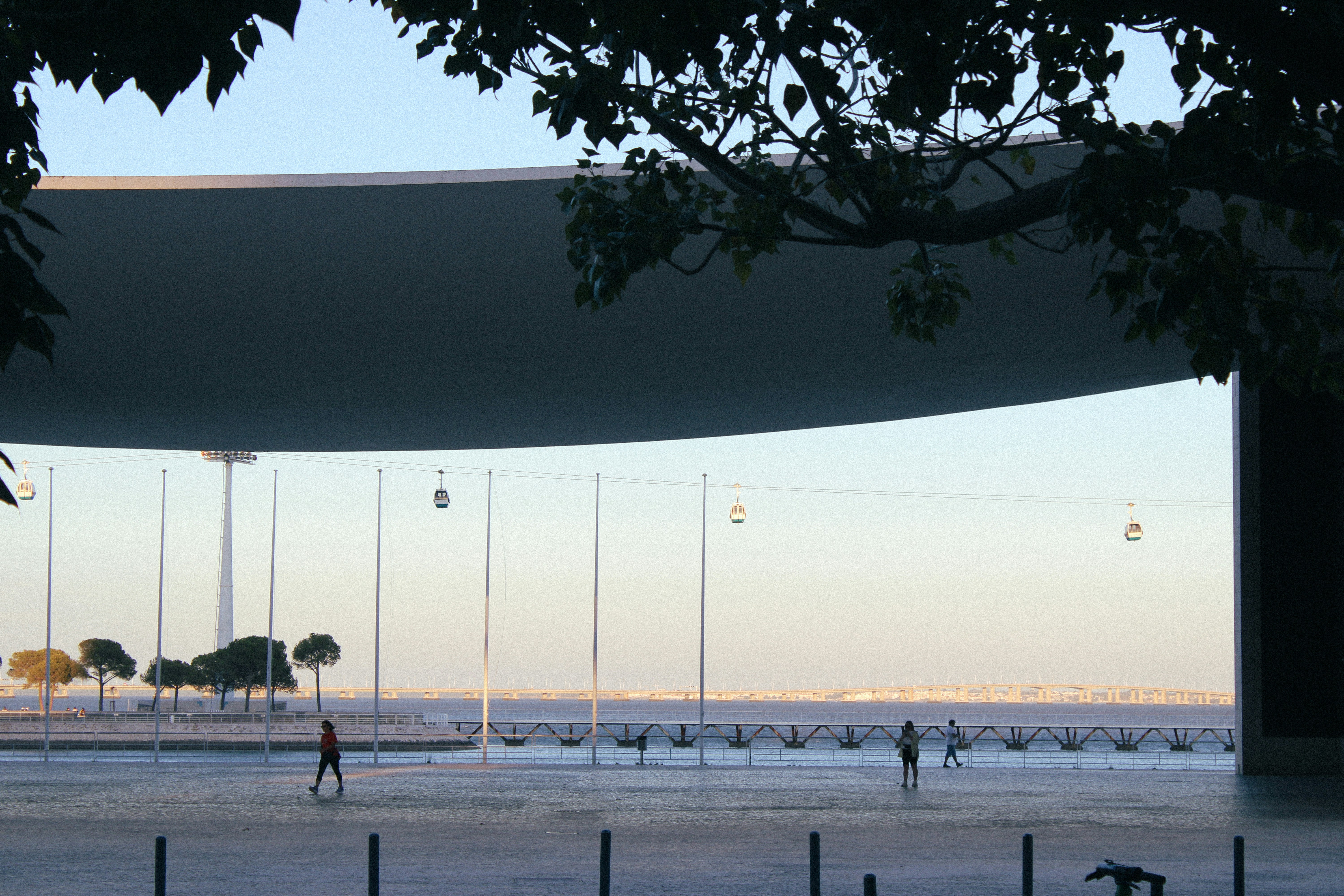 Sweep of Shade over the Harbor: A Solitary Walker at the Edge of Light