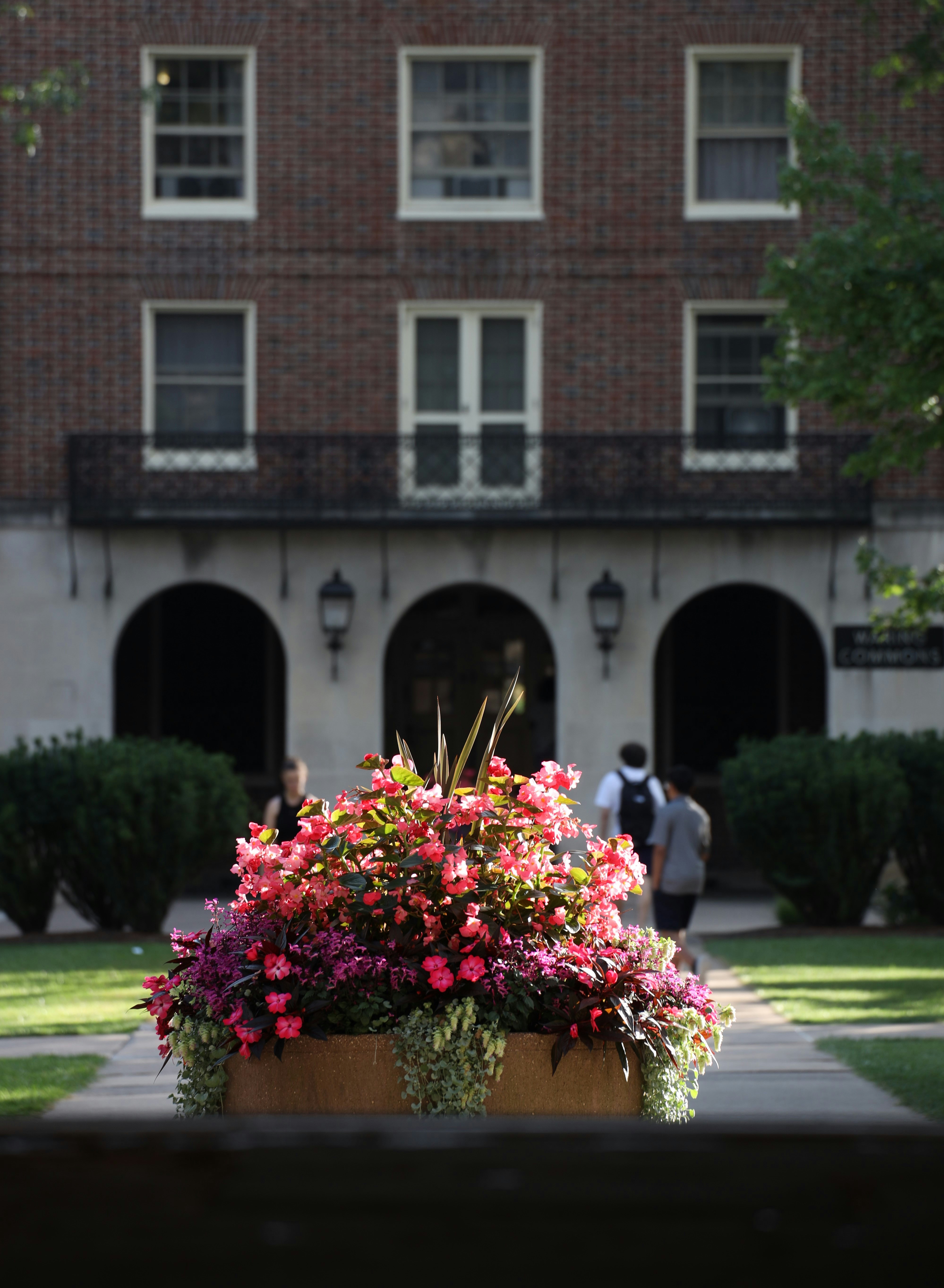 A planter filled with flowers in front of a building photo – Free State ...