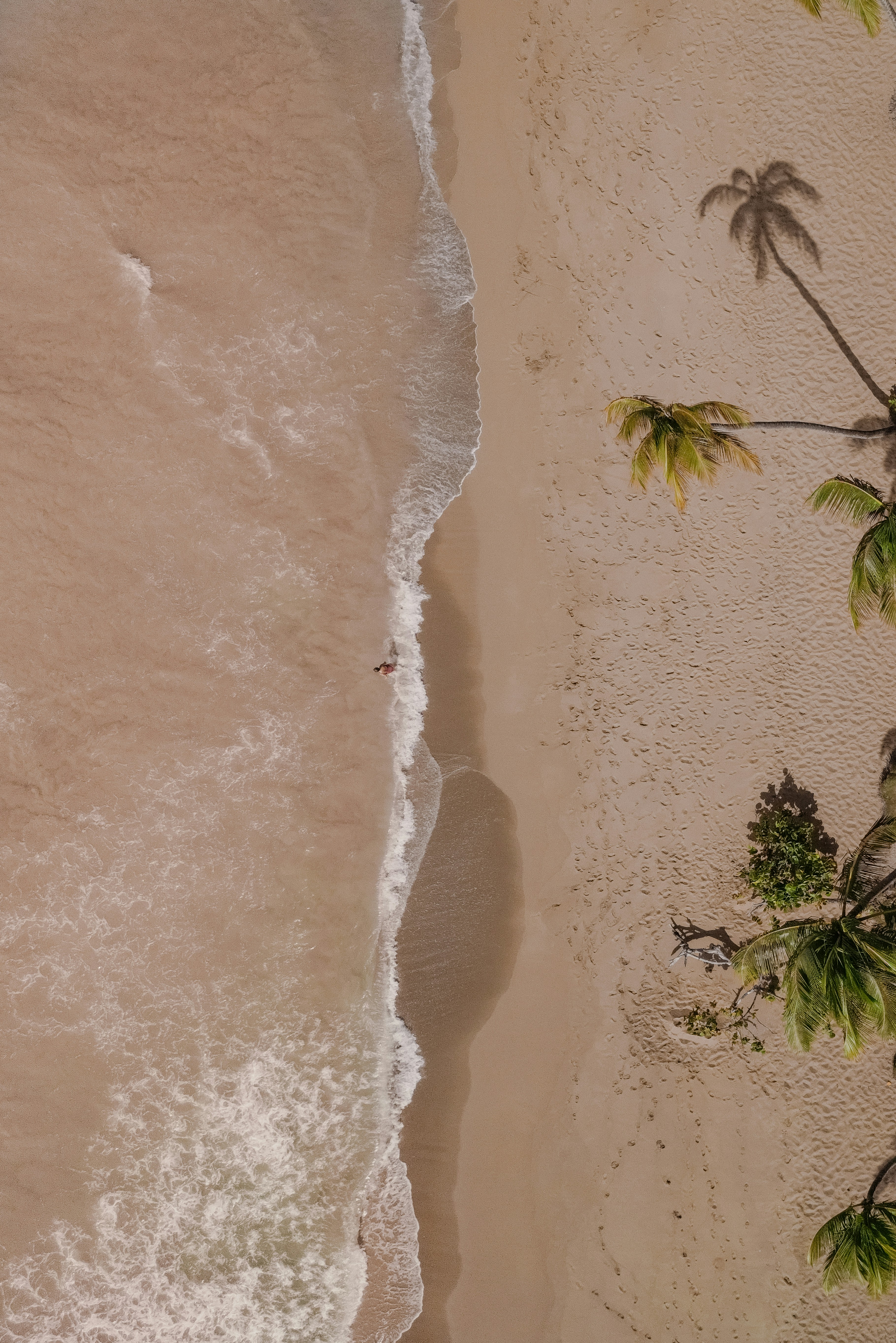 Tiny Figure at the Tidal Edge Amid Palm-Fringed Shore