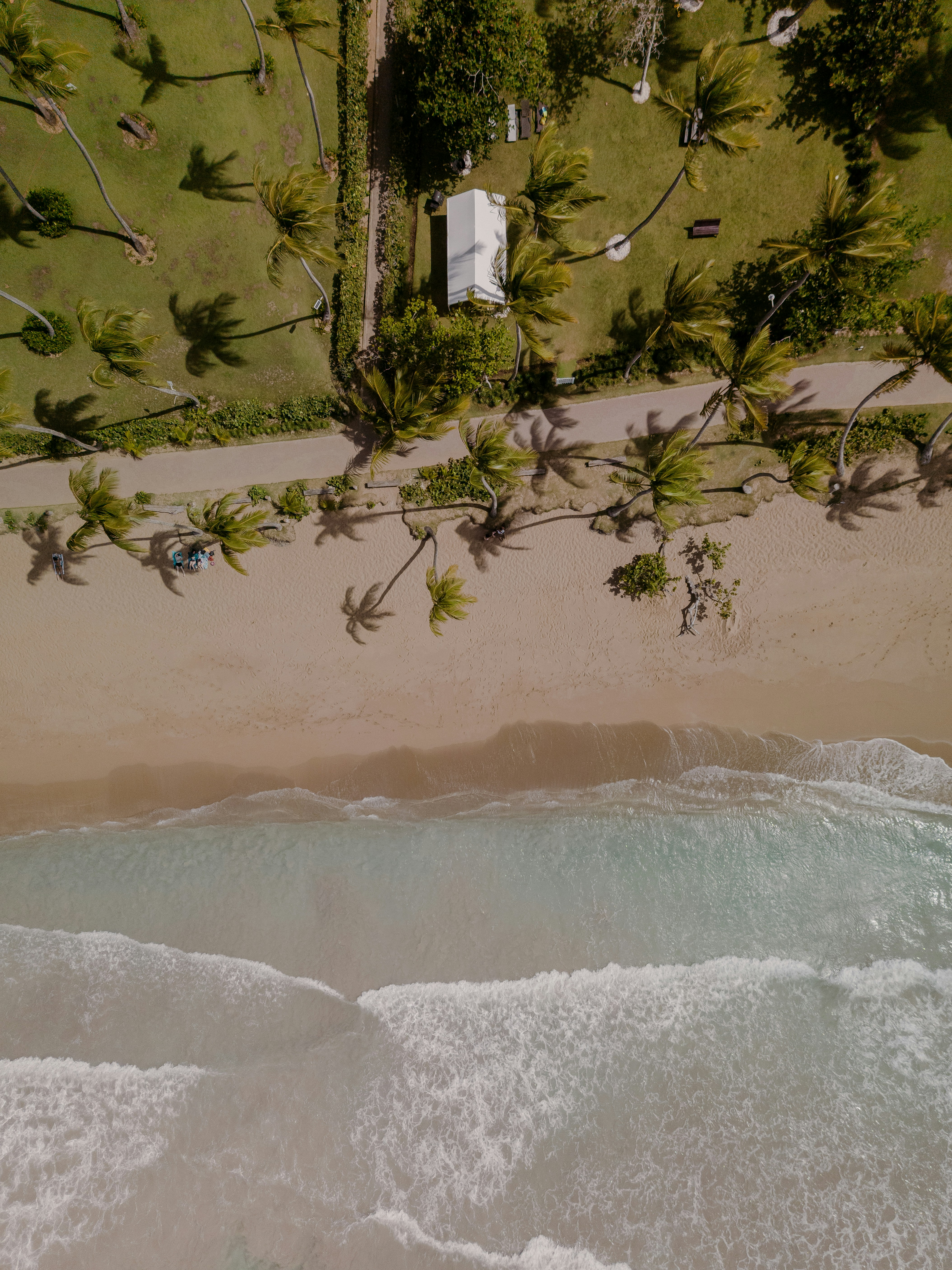 A bird's eye view of a beach and ocean photo – Free Playa bonita Image ...