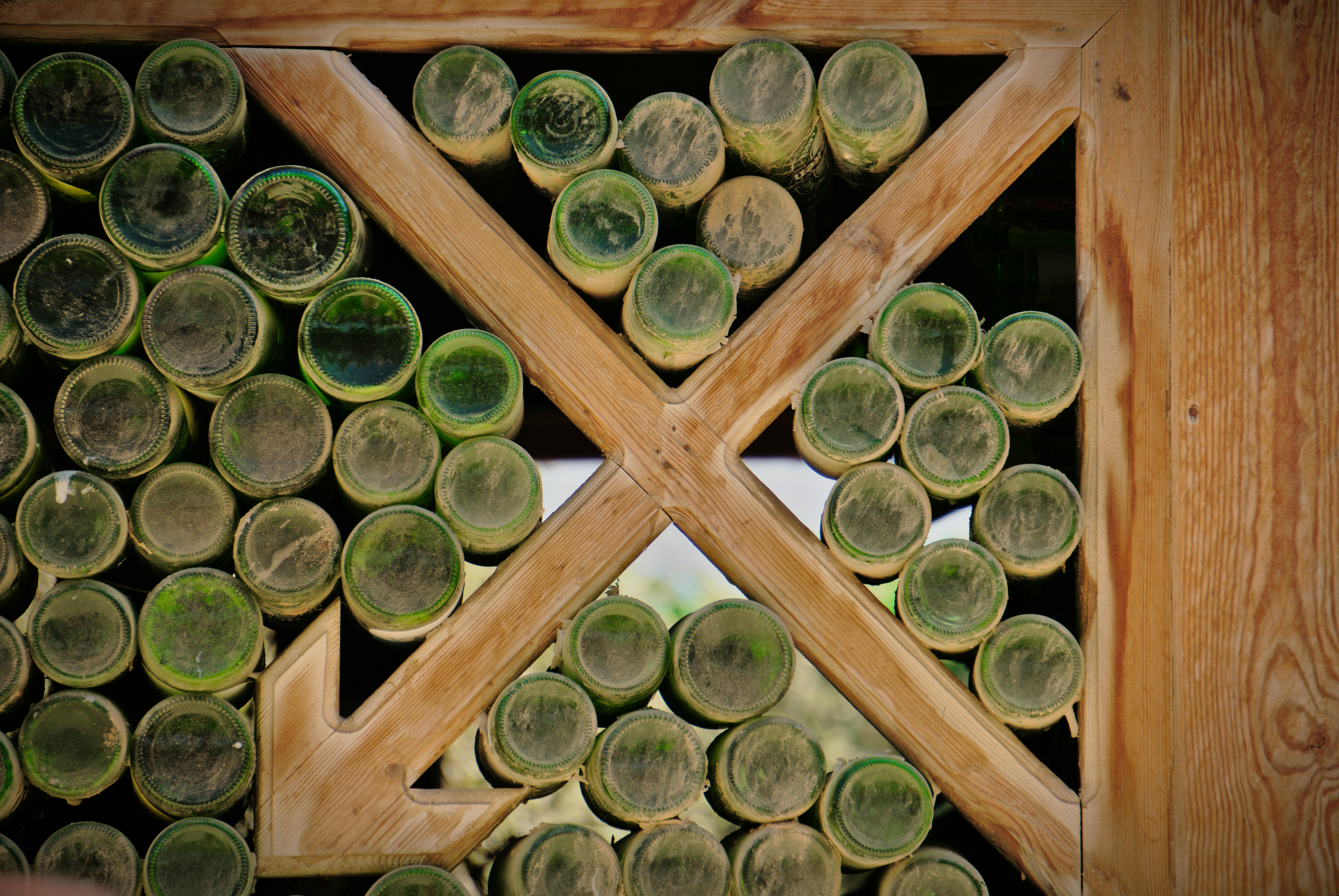 Bamboo Ends in a Wooden X: A Quiet Geometric Portrait