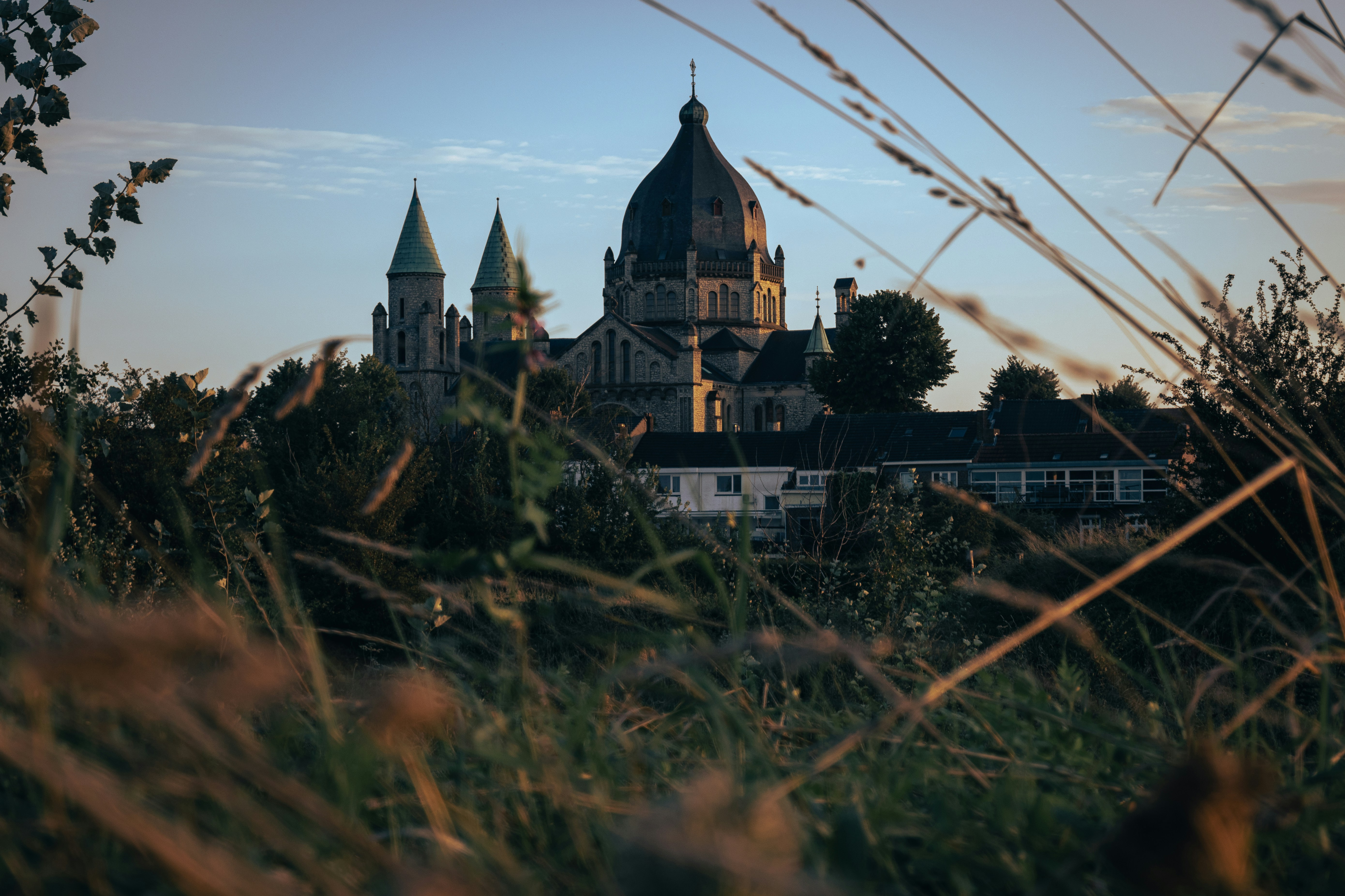 Gothic Silhouette Amidst Wild Grasses