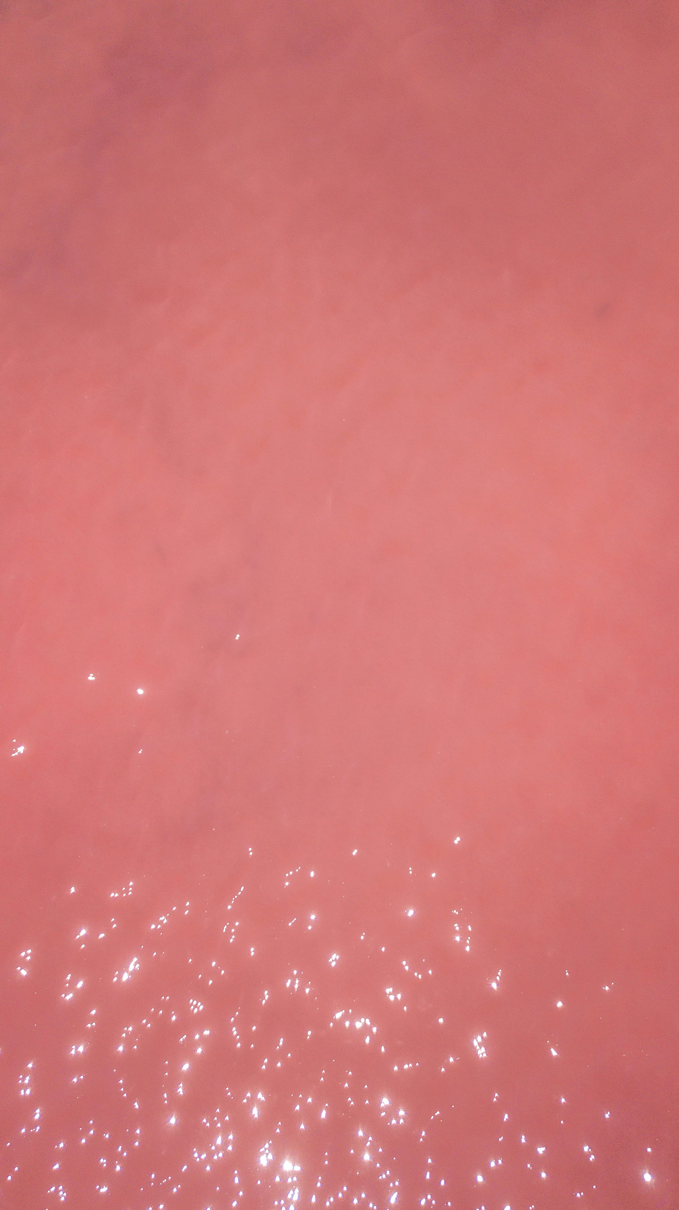 The water is pink in color and it looks like it has a lot of bubbles ...