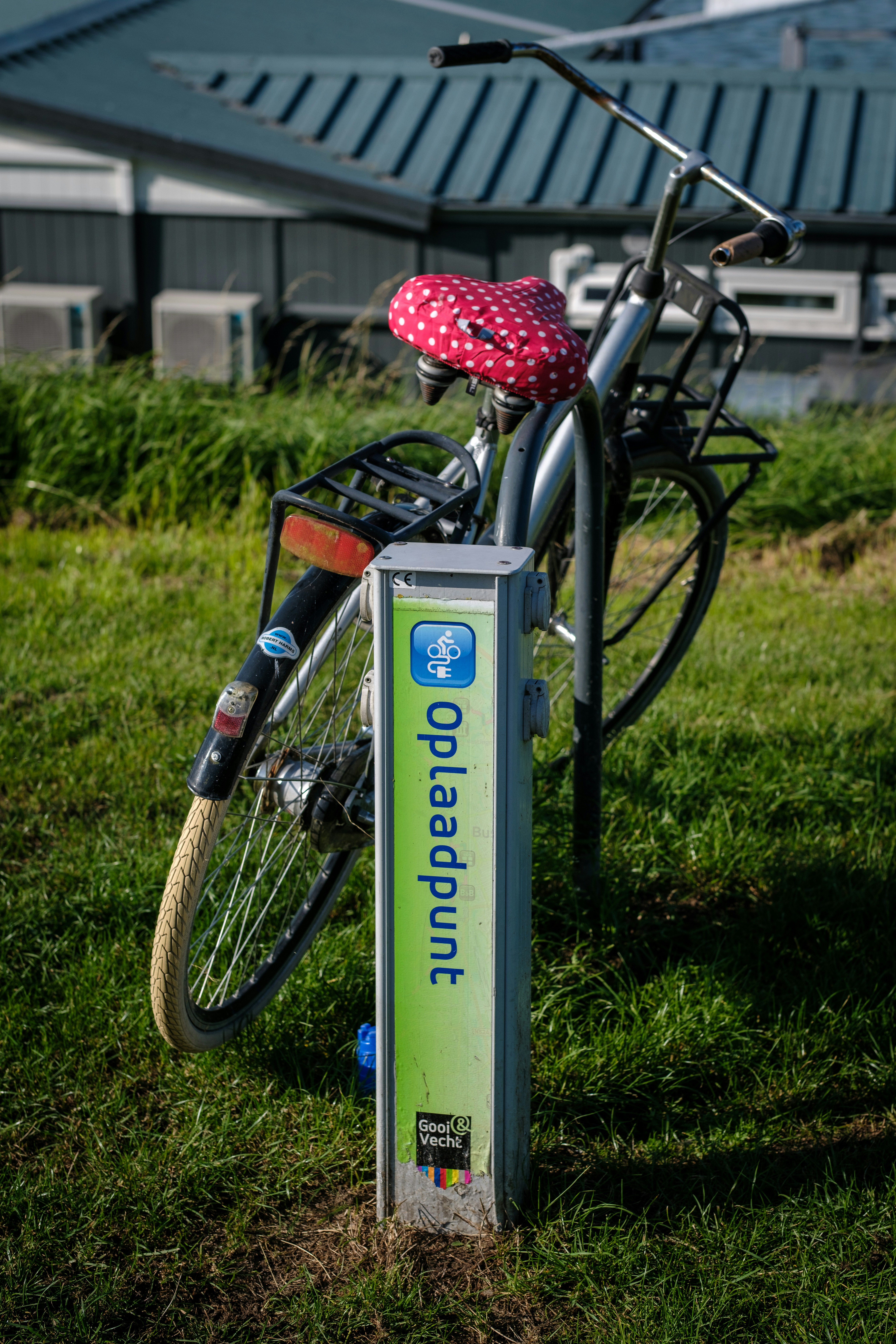 Bike Rack Idol: A Stitch of Color Amid Green Grass