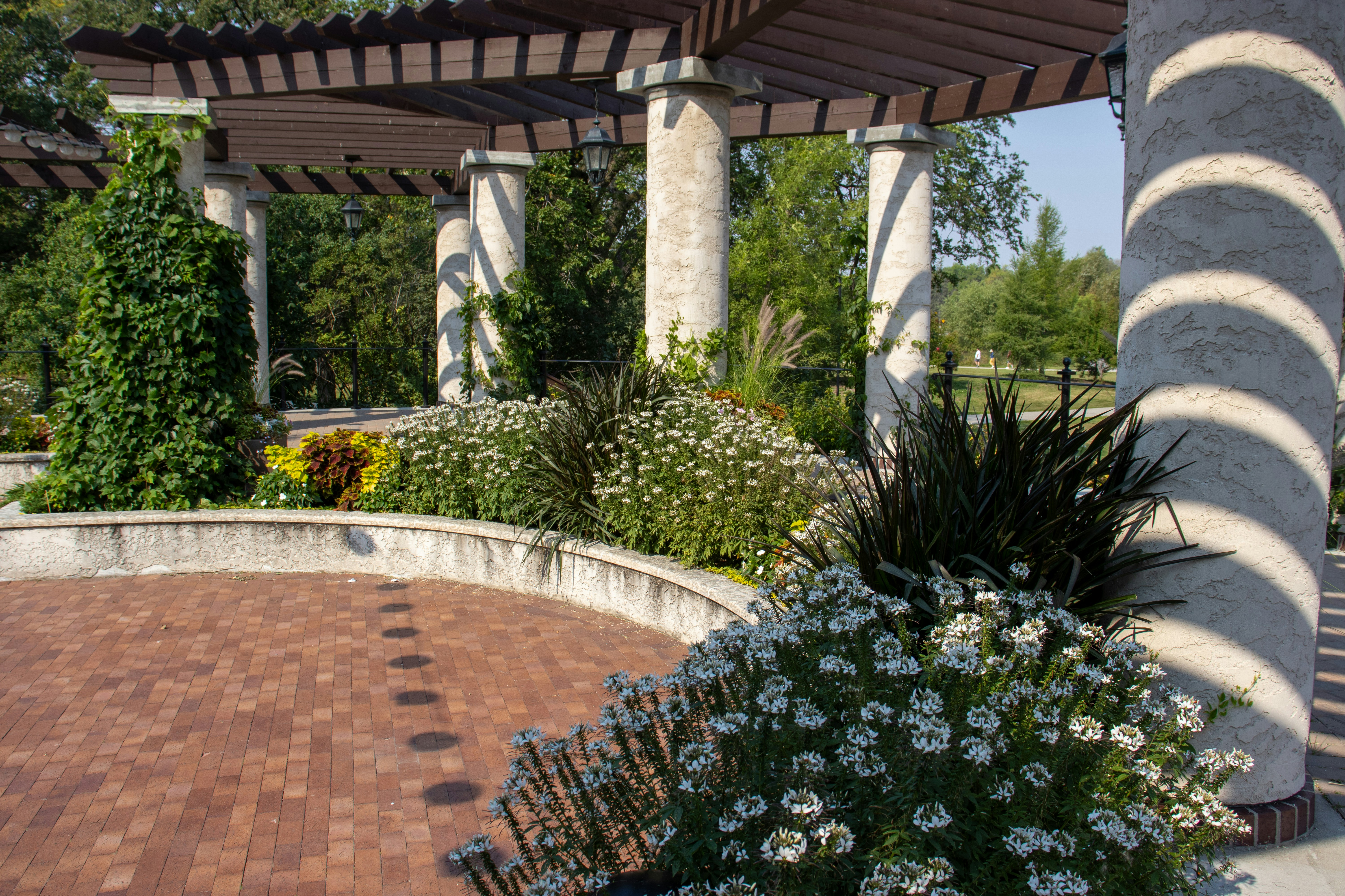 Un patio de ladrillo con un techo permeado y flores blancas en primer ...