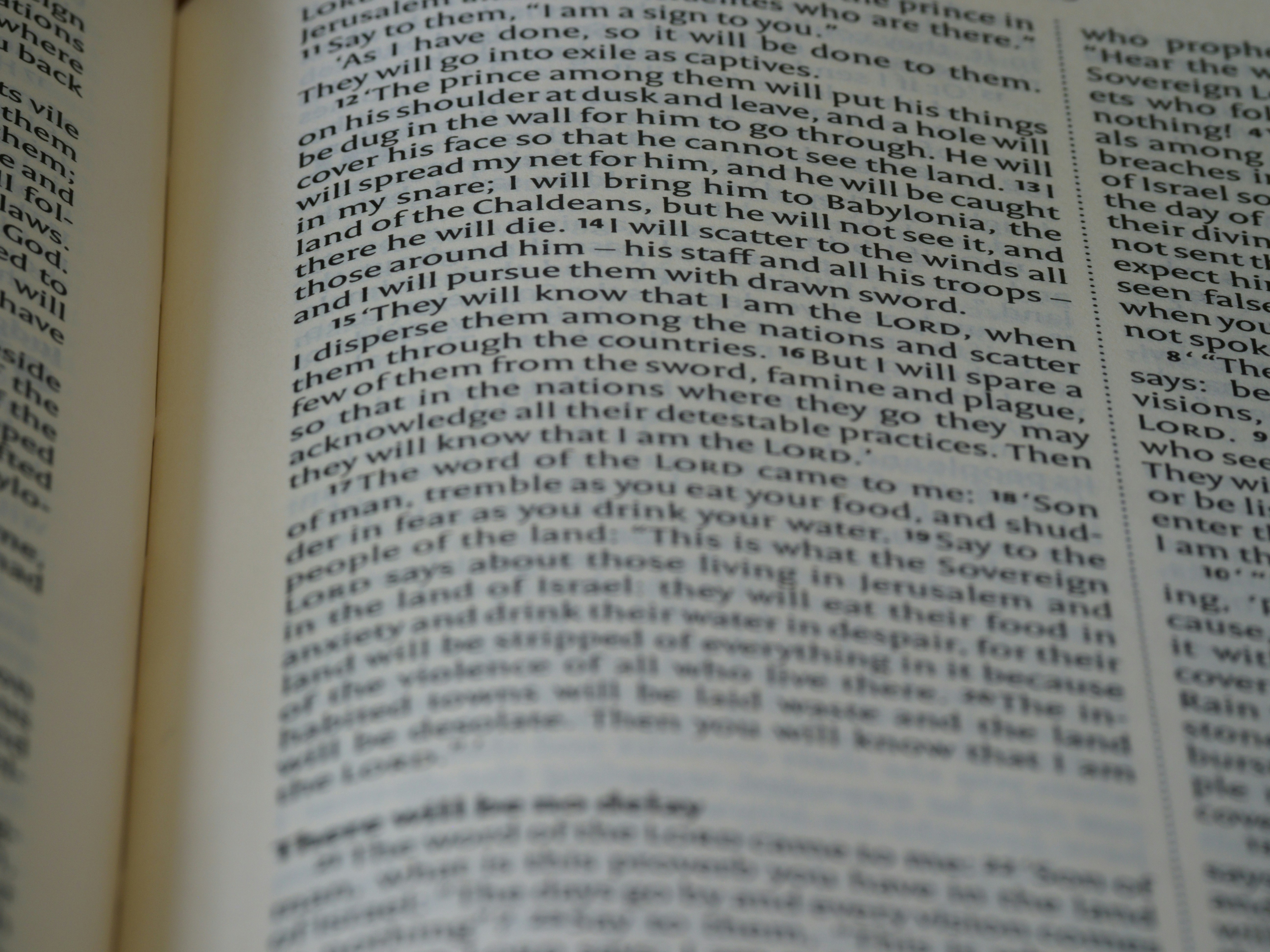 A close up of an open book with words on it photo – Free Text Image on ...