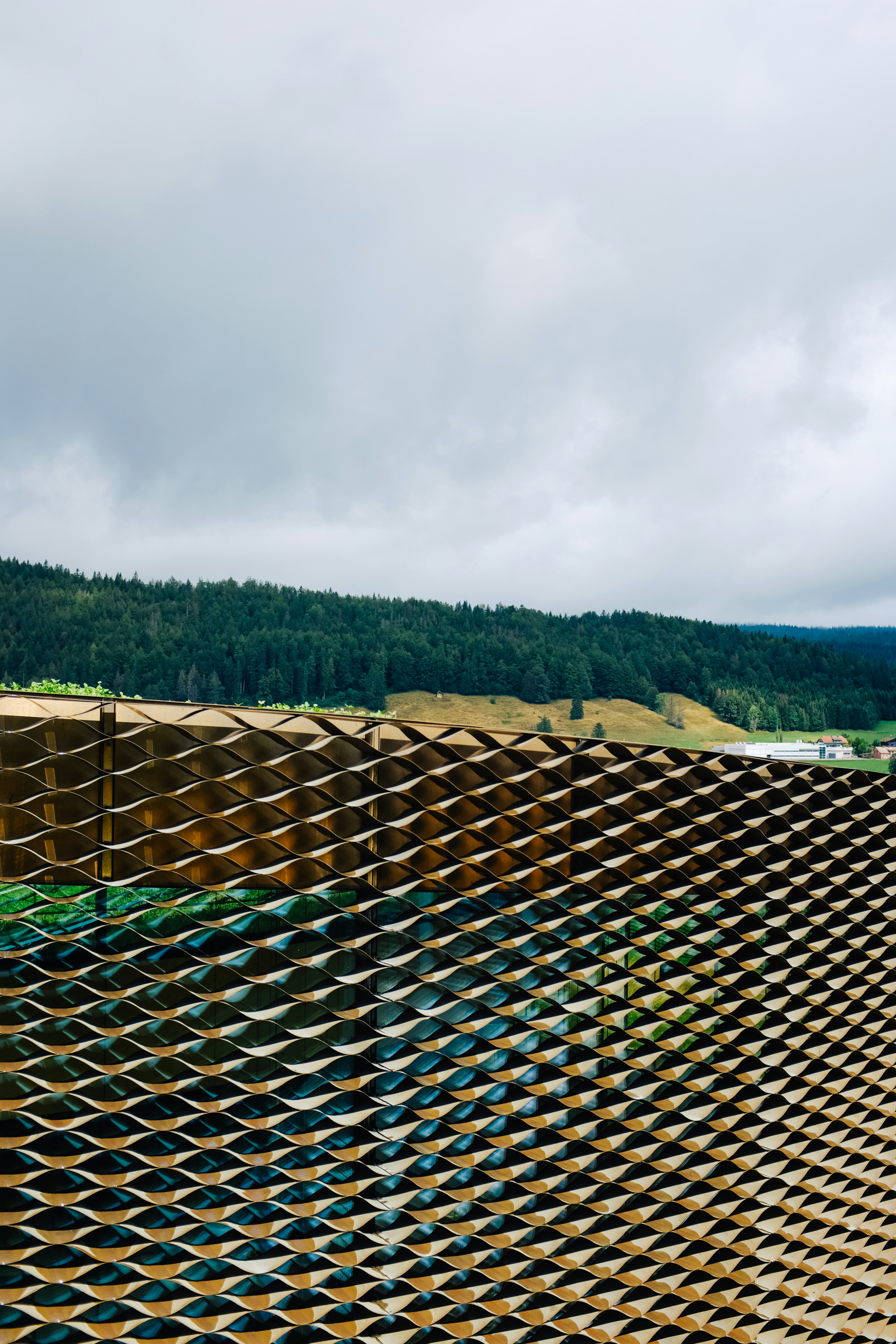 Diamond Mesh Over the Hills: A Quiet Landscape Framed by Repeating Geometry
