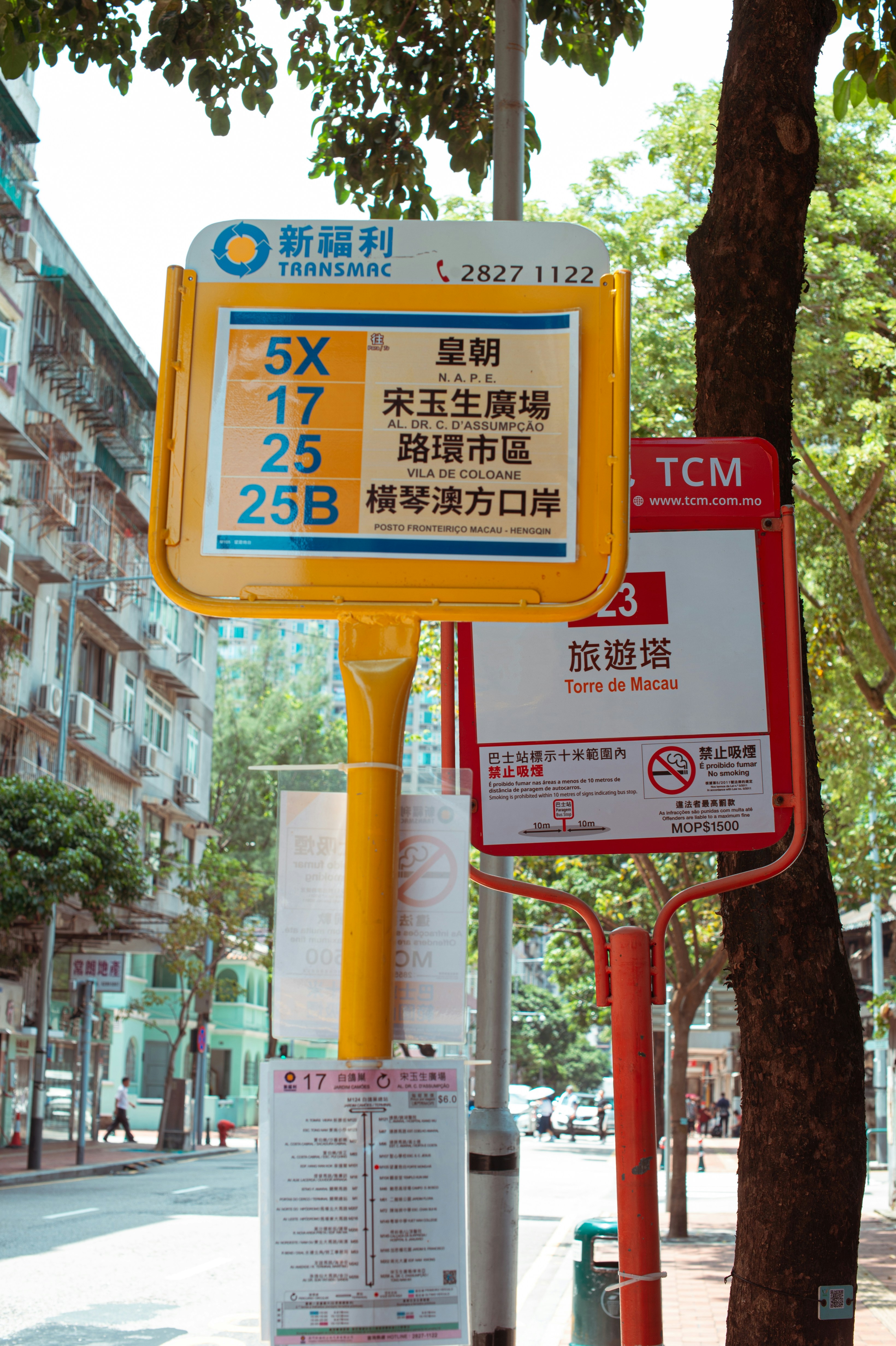 The Yellow Wayfinder: Macau Bus Stop Sign Under a Shaded Street