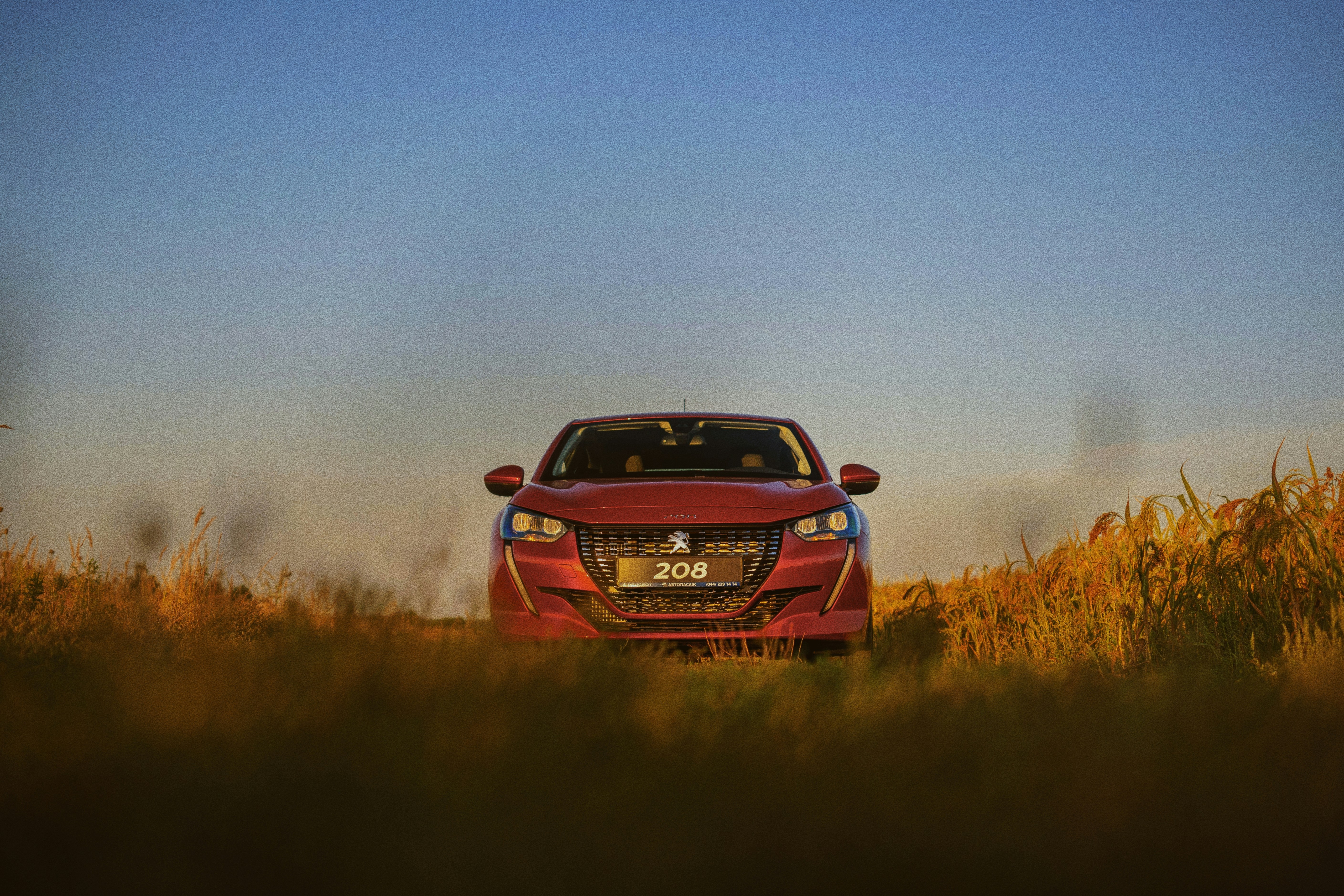 A red car driving through a field of tall grass photo – Free Sunset ...