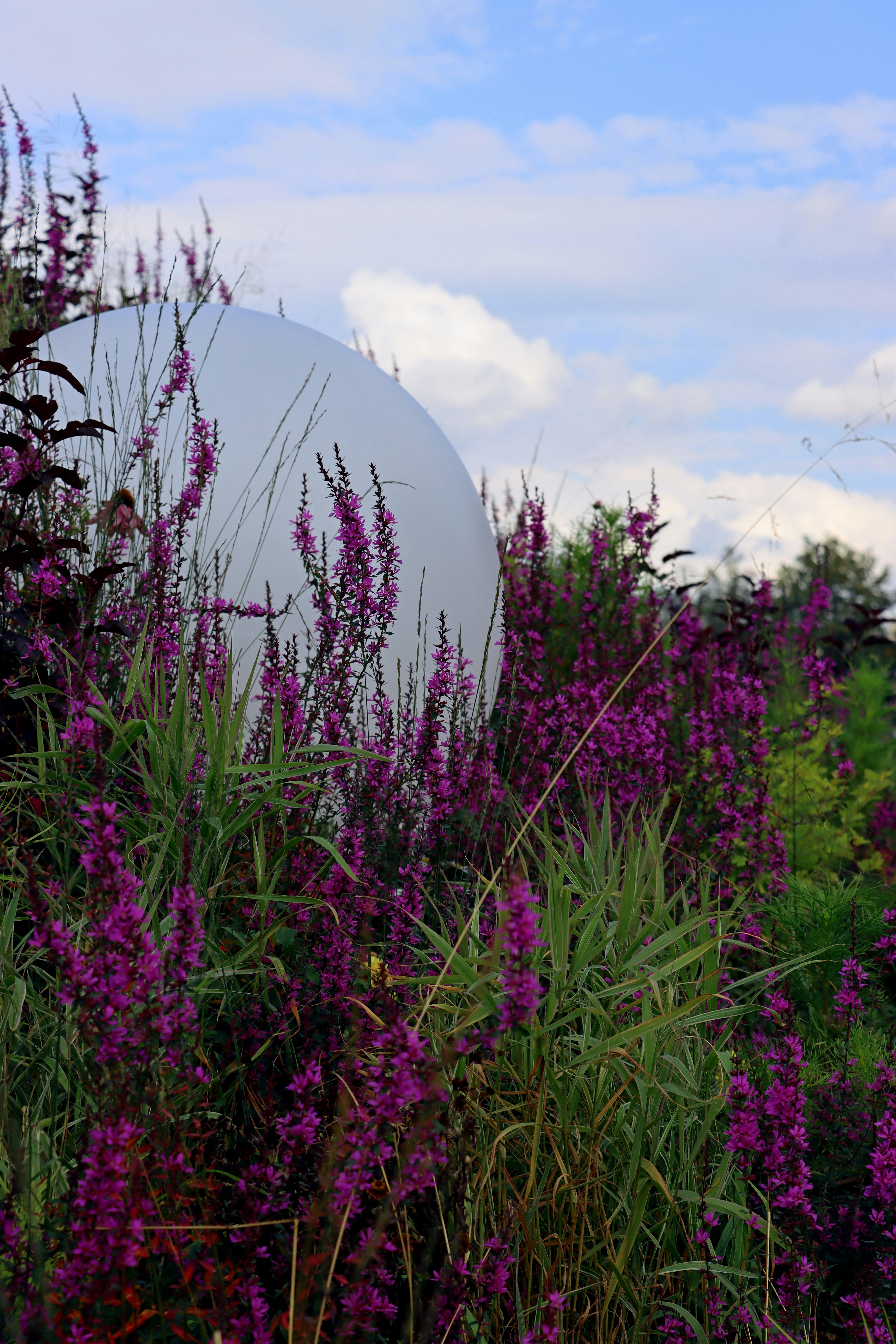 Lilac Spires Framing a Pale Orb Against a Sky