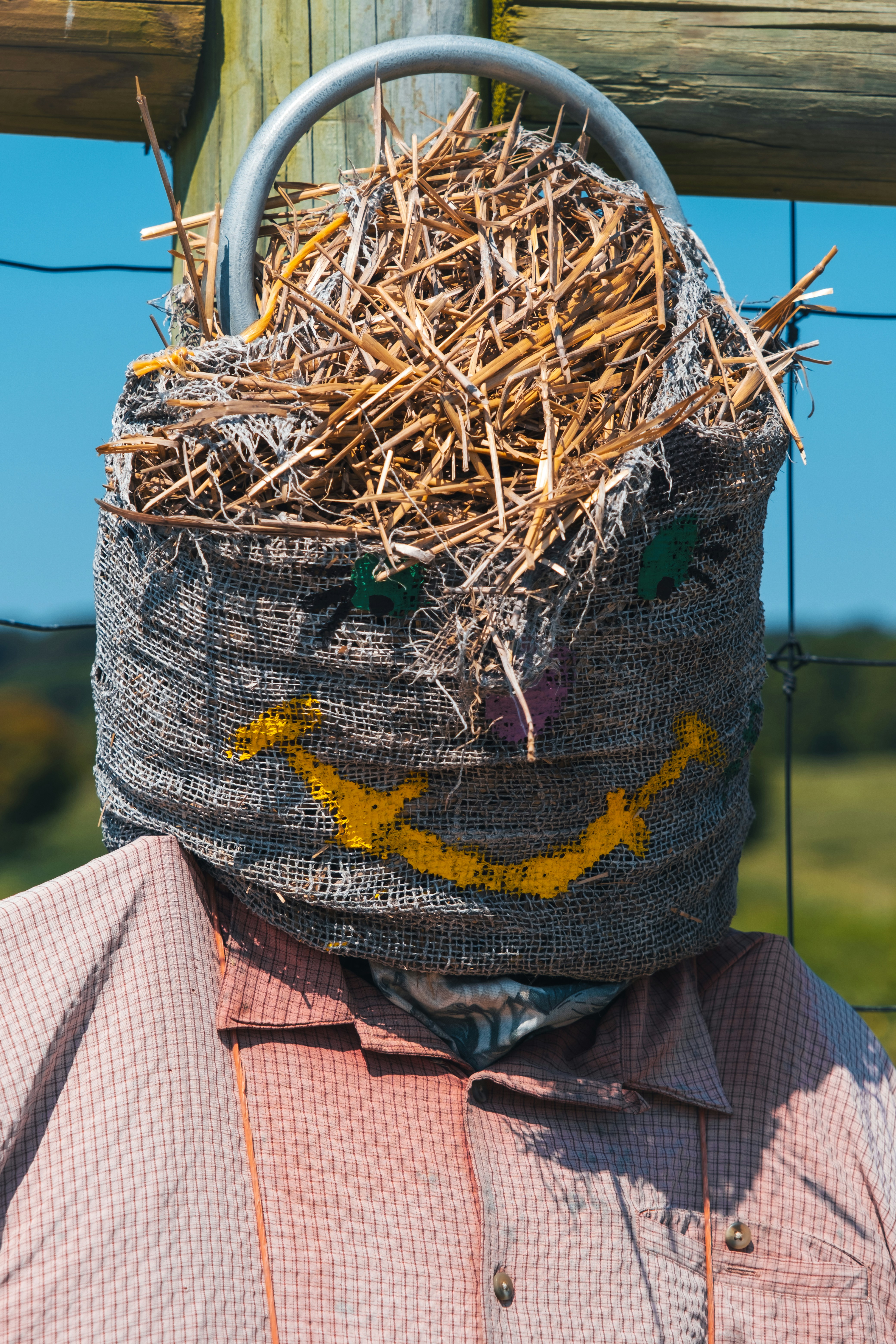 Whimsical Guardian of the Fields