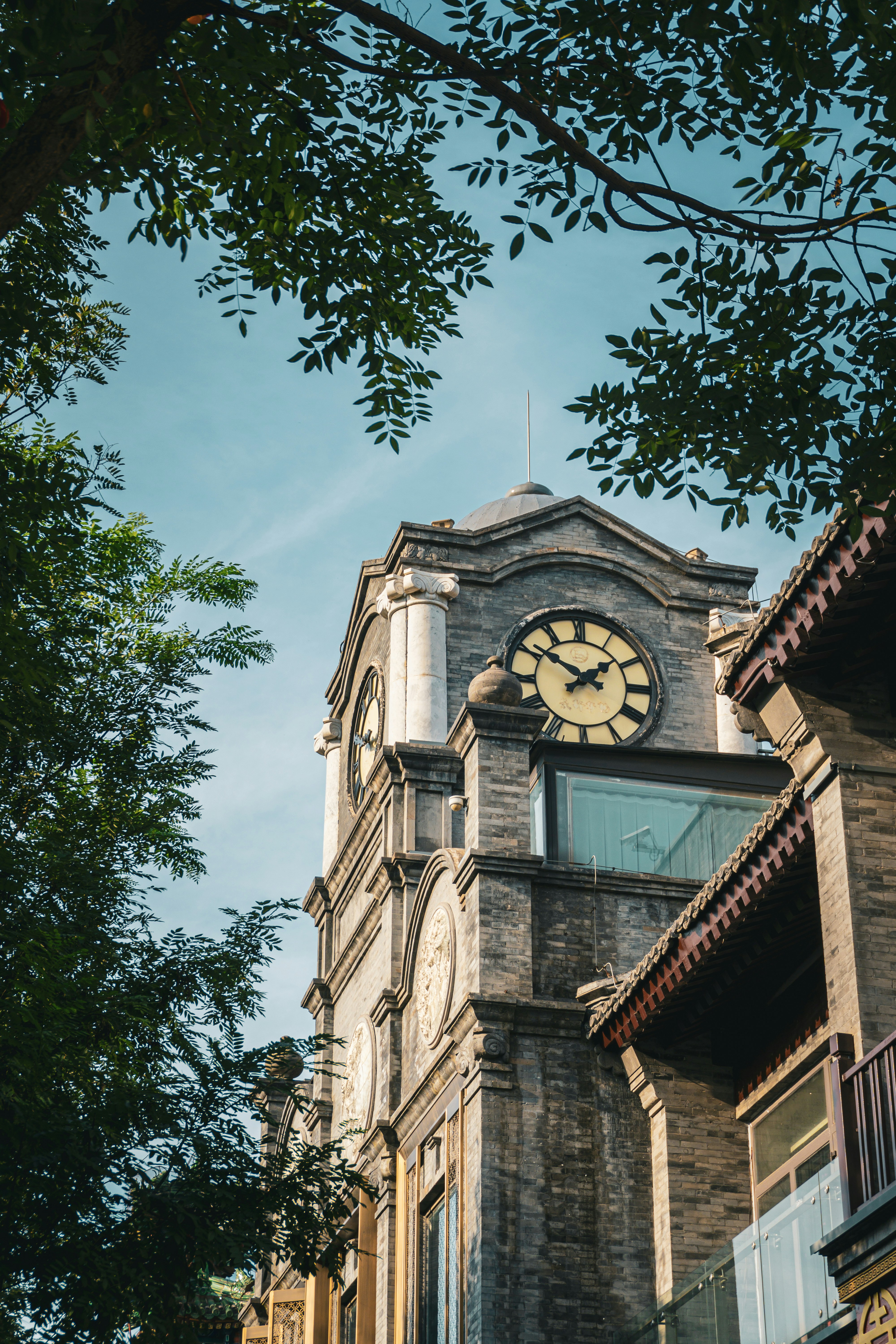 Sunlit Clock Tower Rising Through Framed Foliage