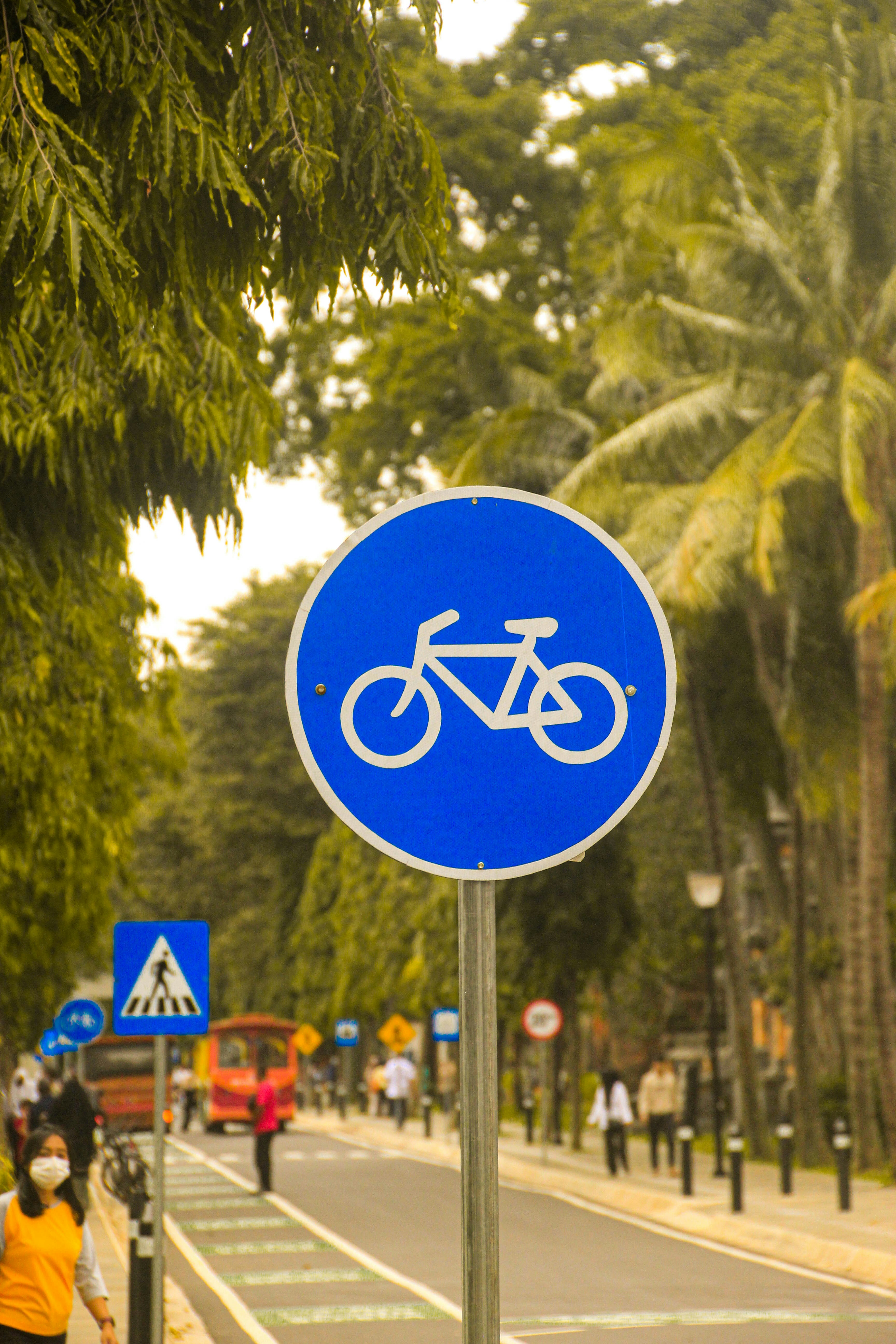 A blue bicycle sign sitting on the side of a road photo – Free Tmii ...