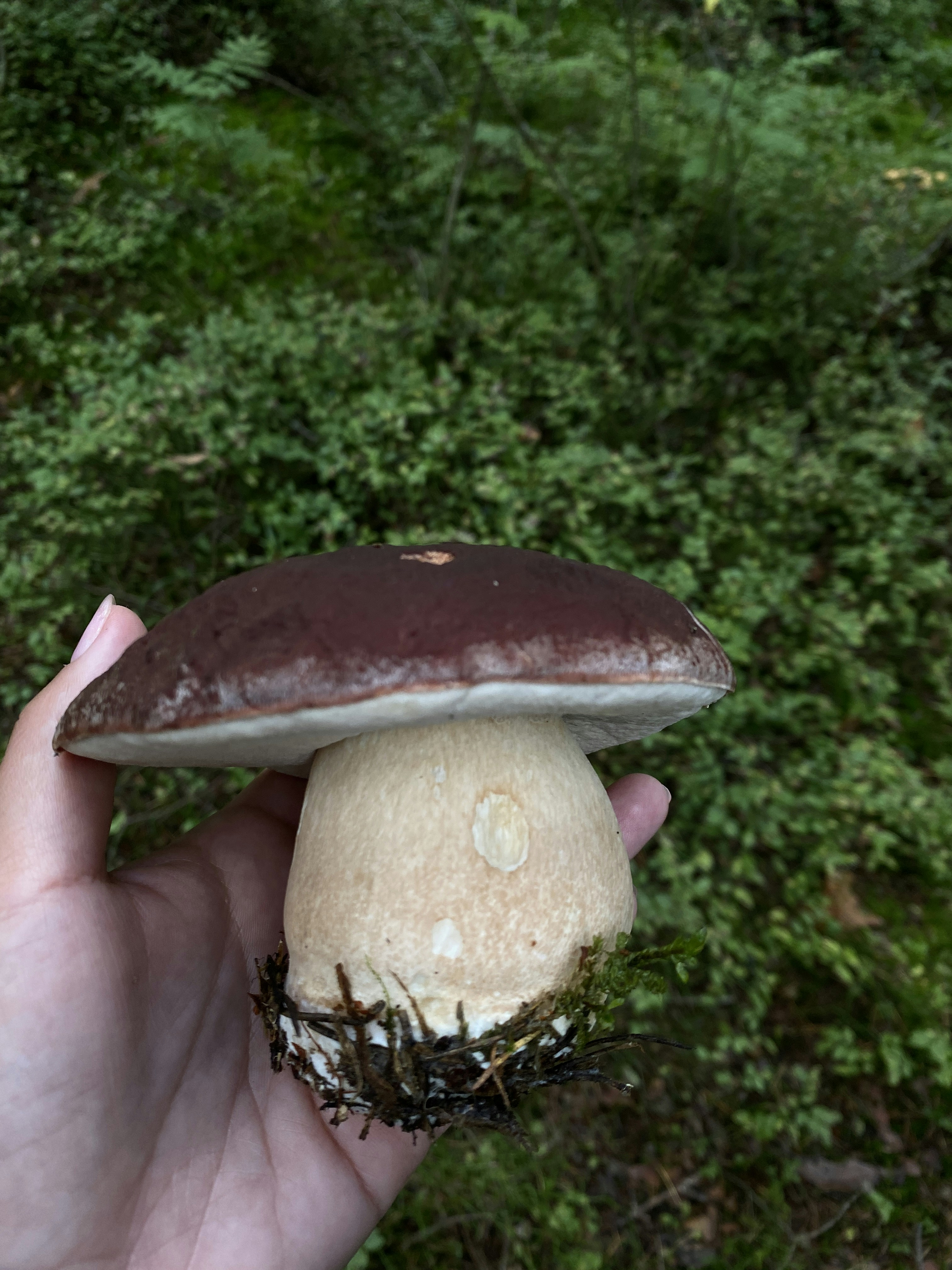 Photo by Tatiana Zhukova with Apple iPhone 11 Pro