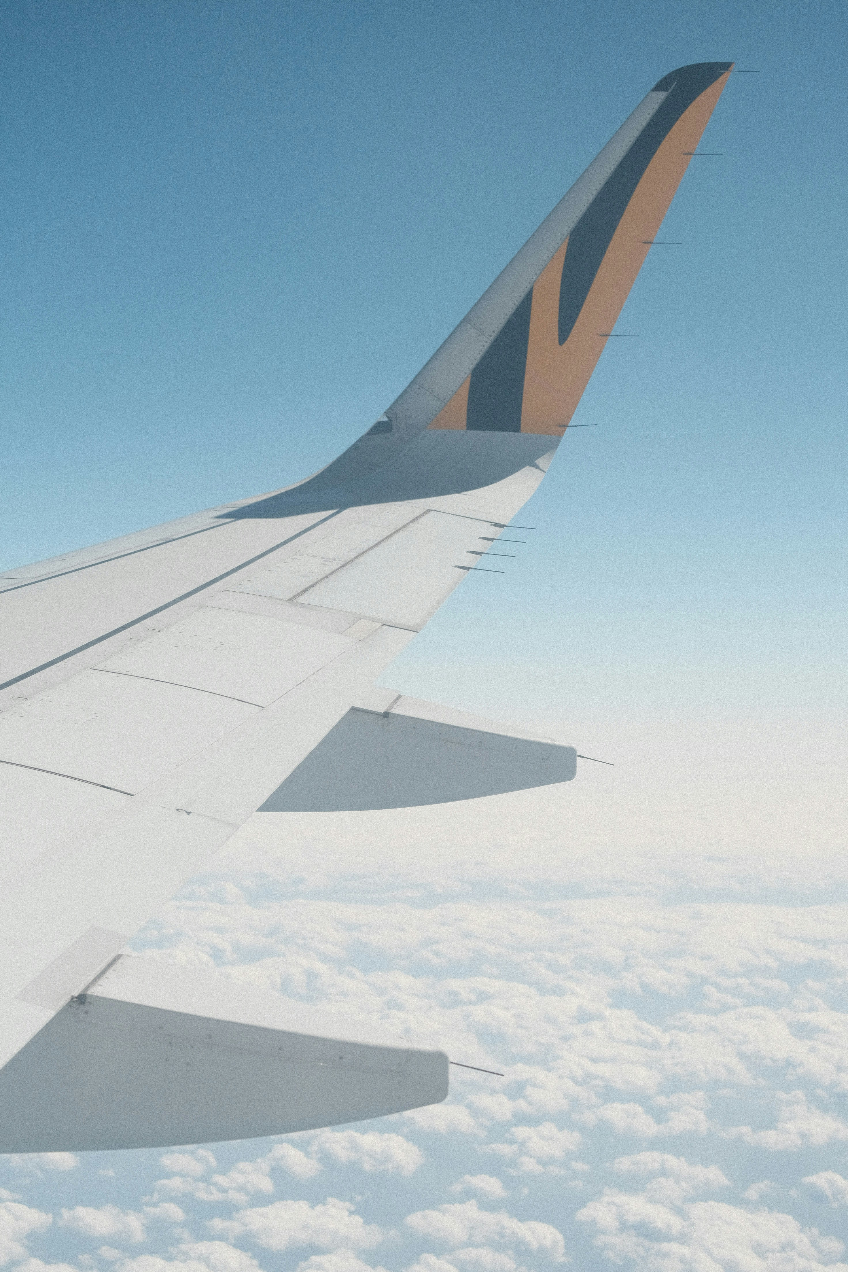 Wing Arc Above the Clouds: Window-Seat Perspective at Altitude